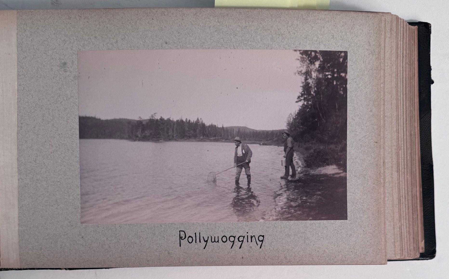 TURNER POND, MAINE FISHING AND CAMPING ALBUM - A lovely leatherbound ...