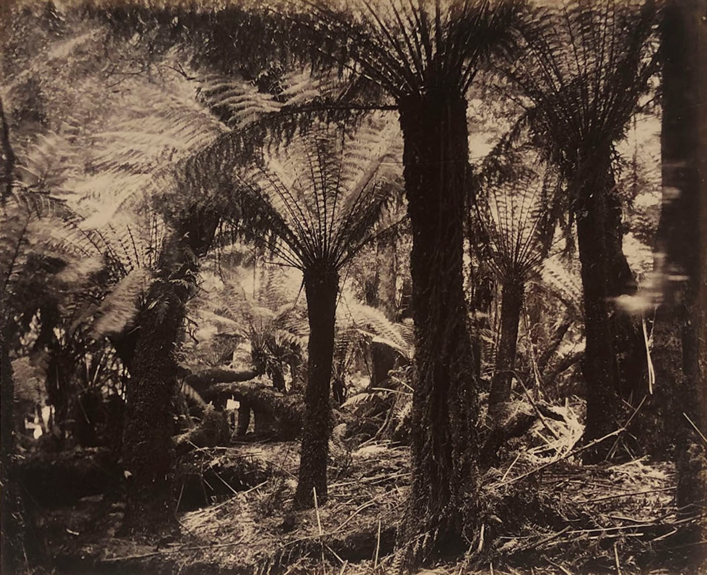 LARGE VIEWS IN VICTORIA ALBUM C. 1860 - A large album gilt-stamped ...