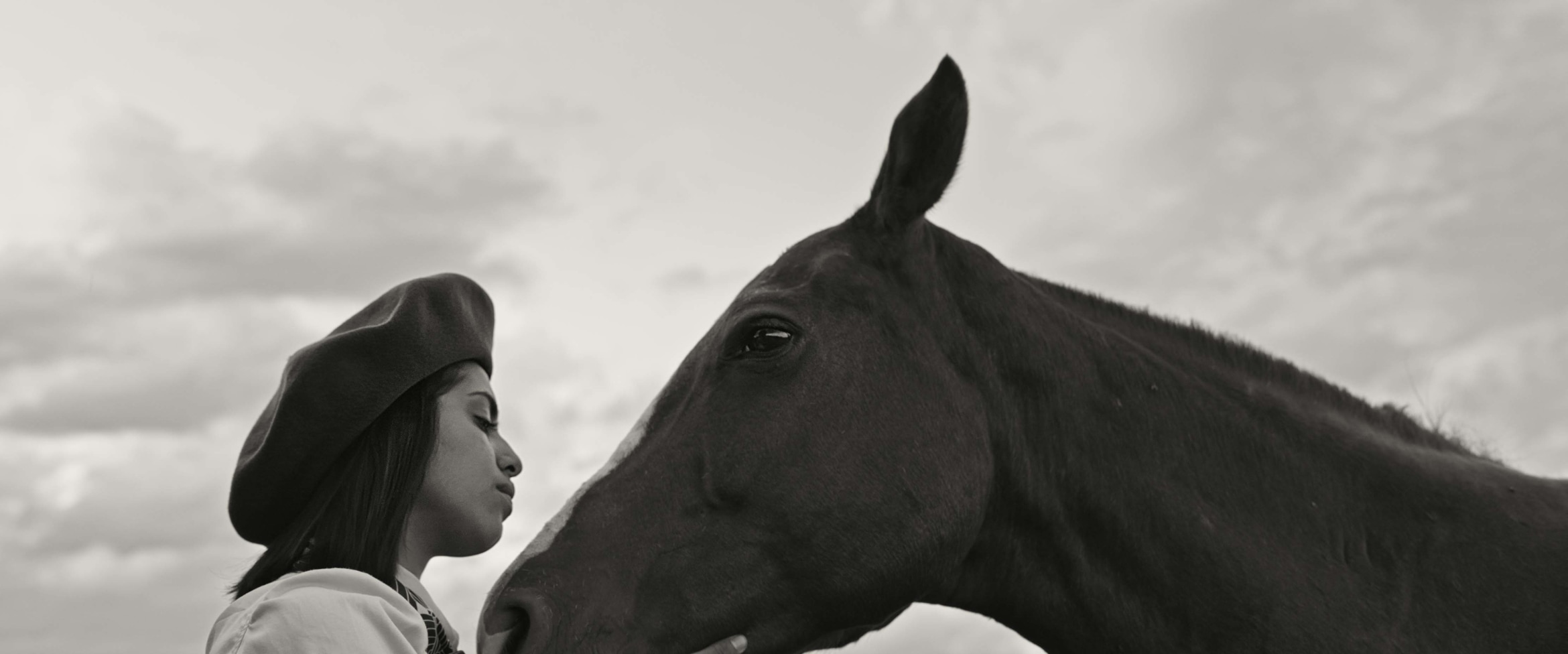 Gaucho Gaucho - Series - Michael Dweck | Contemporary American Visual ...
