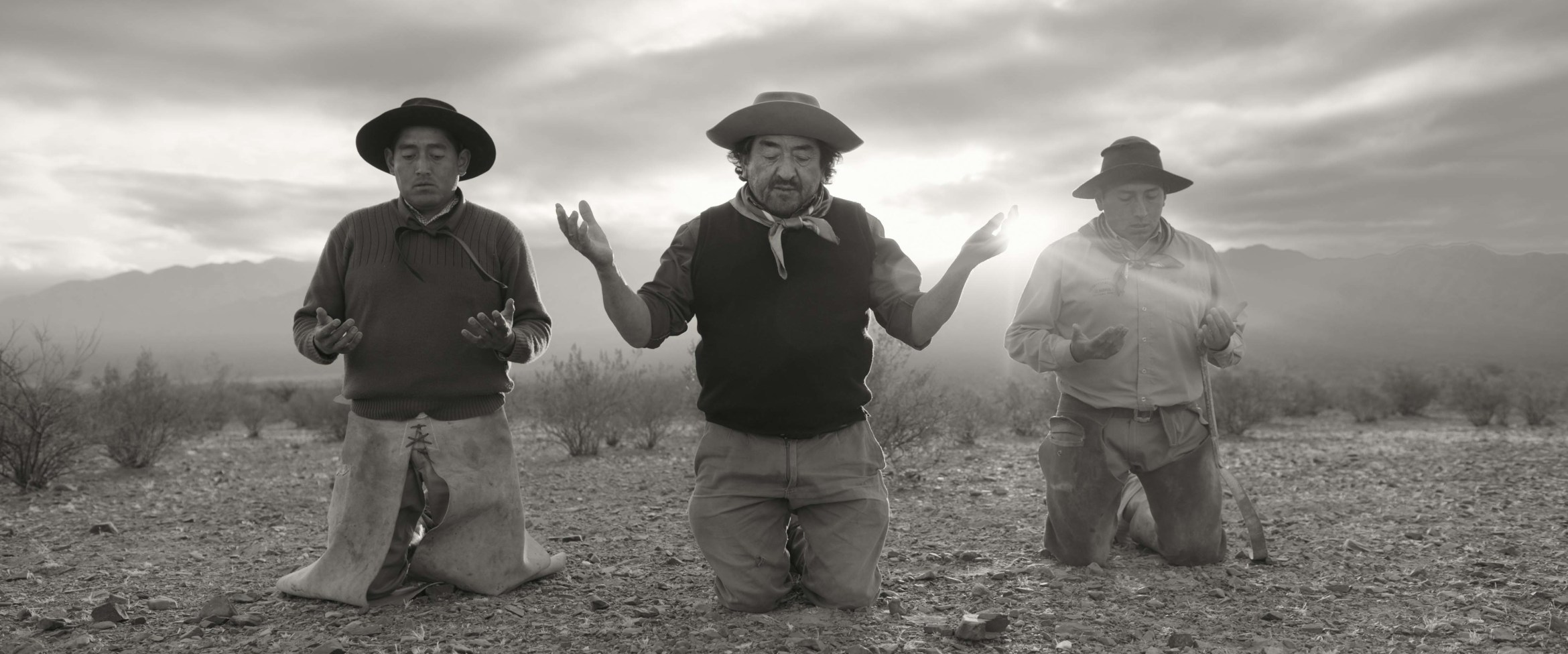 Gaucho Gaucho - Films - Michael Dweck | Contemporary American Visual ...