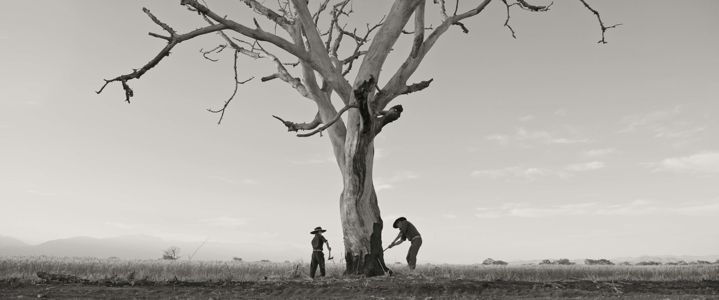 Gaucho Gaucho - Series - Michael Dweck | Contemporary American Visual ...