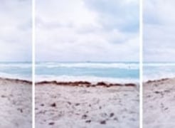 David Hilliard - Artists - Yancey Richardson