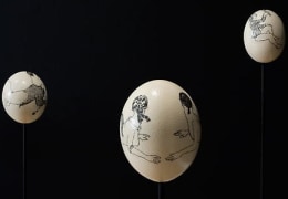 Alice Maher - Artists - David Nolan Gallery