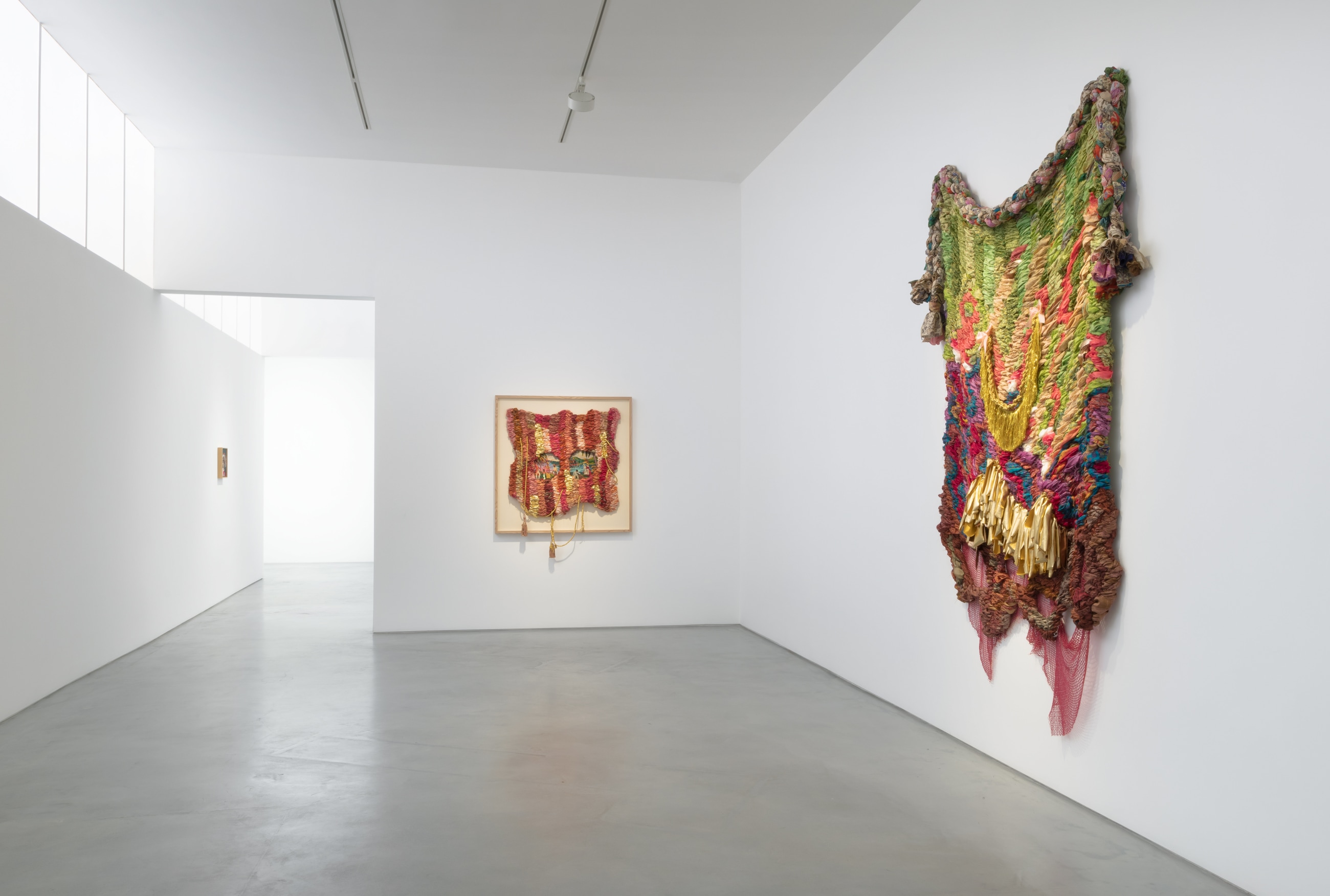 Suchitra Mattai - Exhibitions - Roberts Projects LA