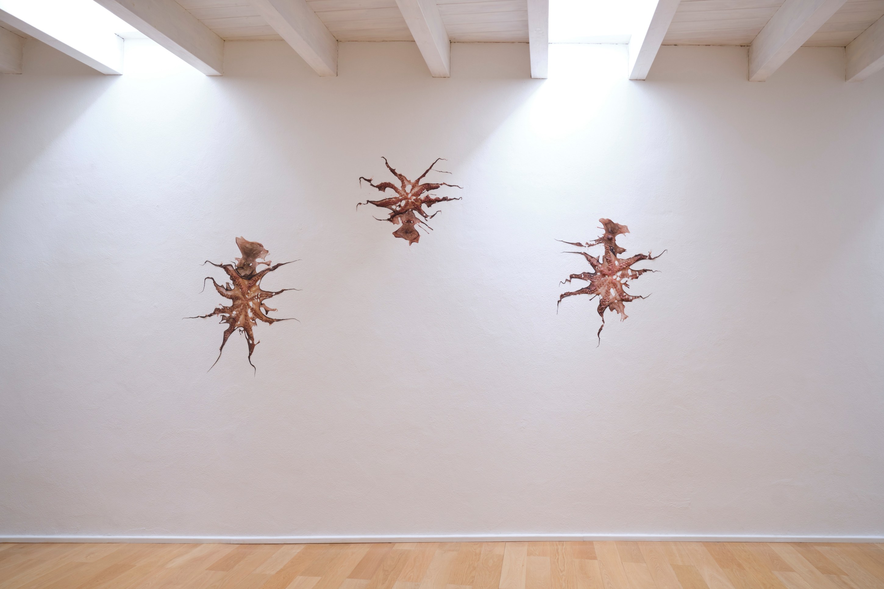 Jorge Peris - Artists - Nicodim Gallery