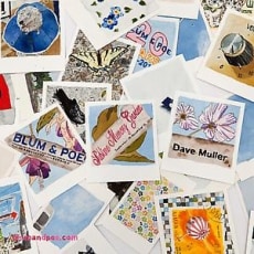 Dave Muller - Artists - Anthony Meier Fine Arts