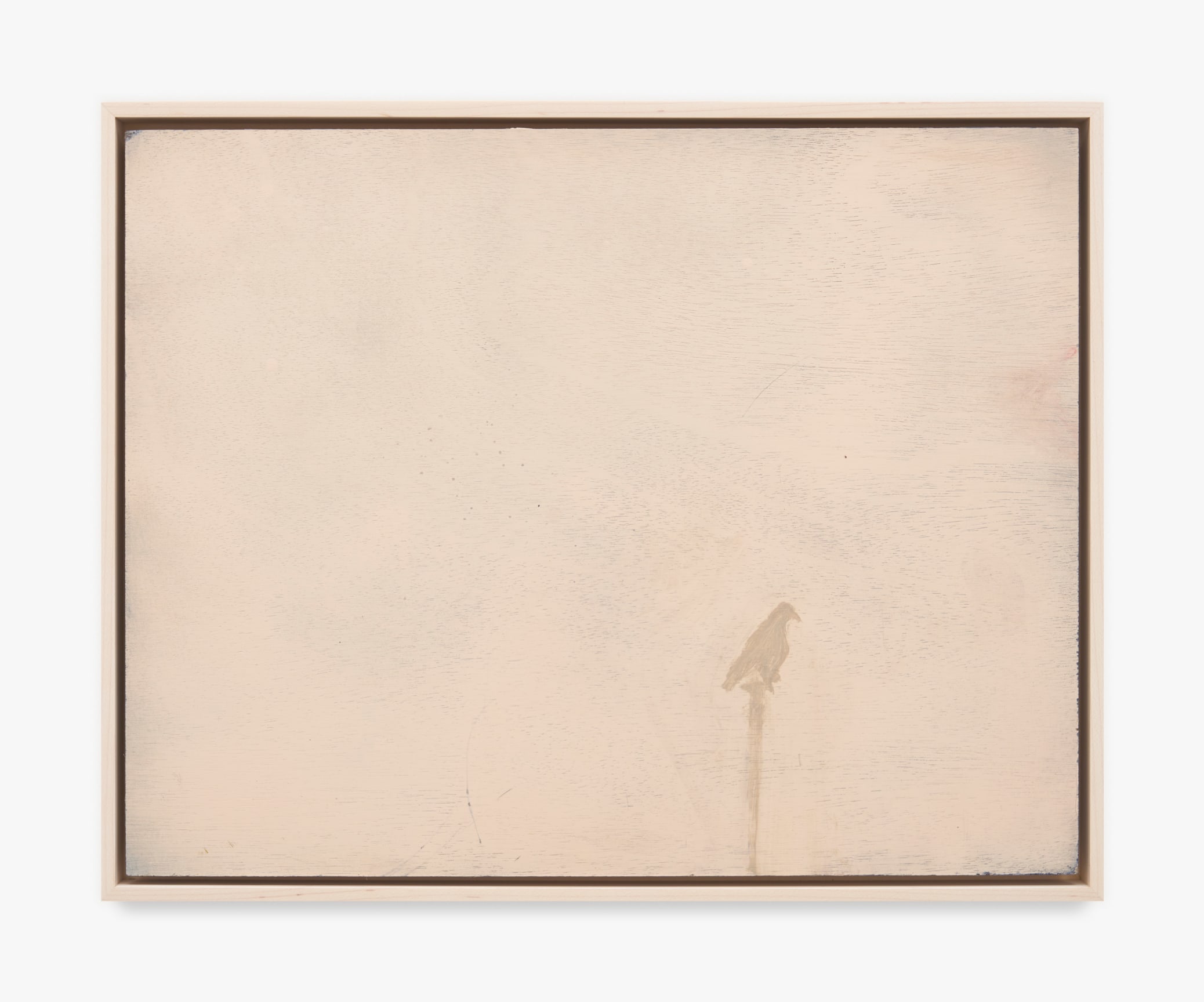 Seth Becker: A Boy's Head