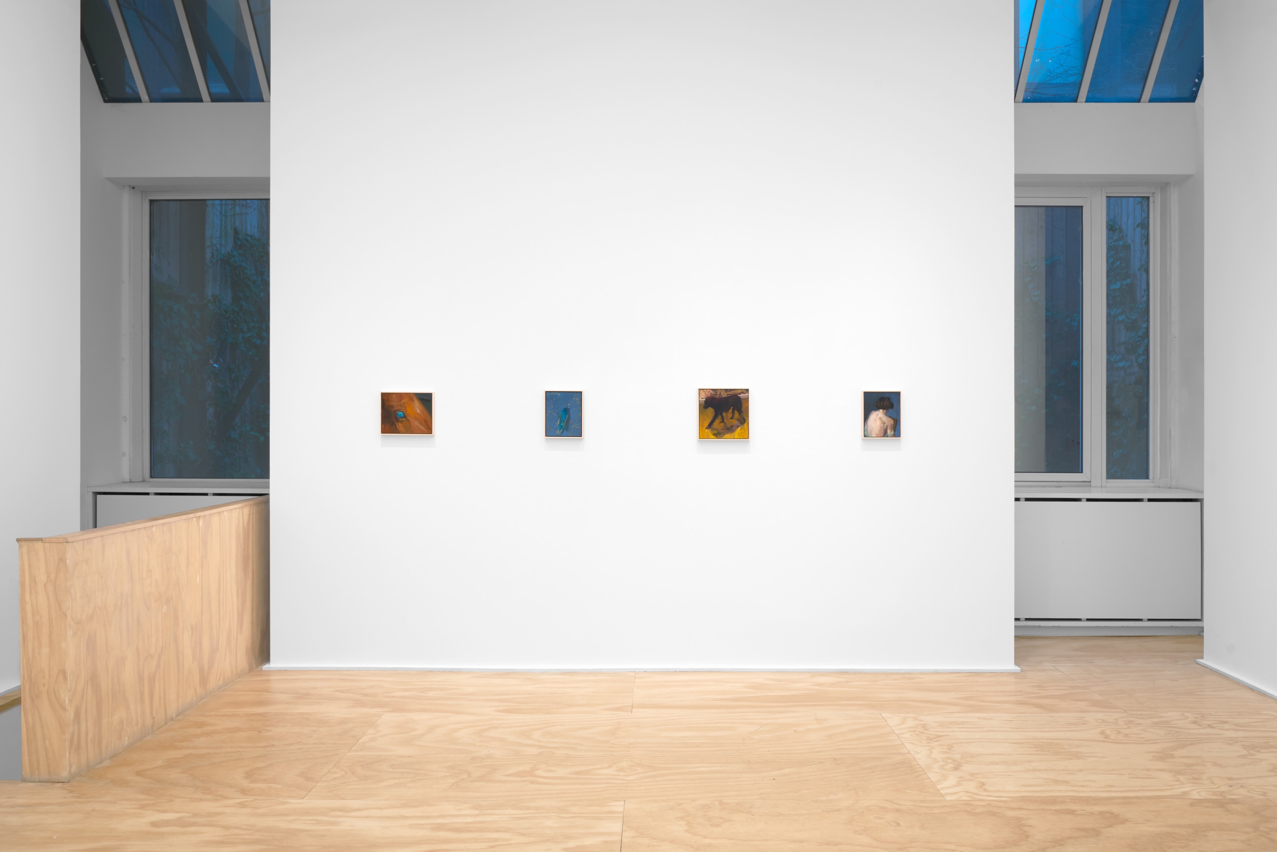 Seth Becker: A Boy's Head