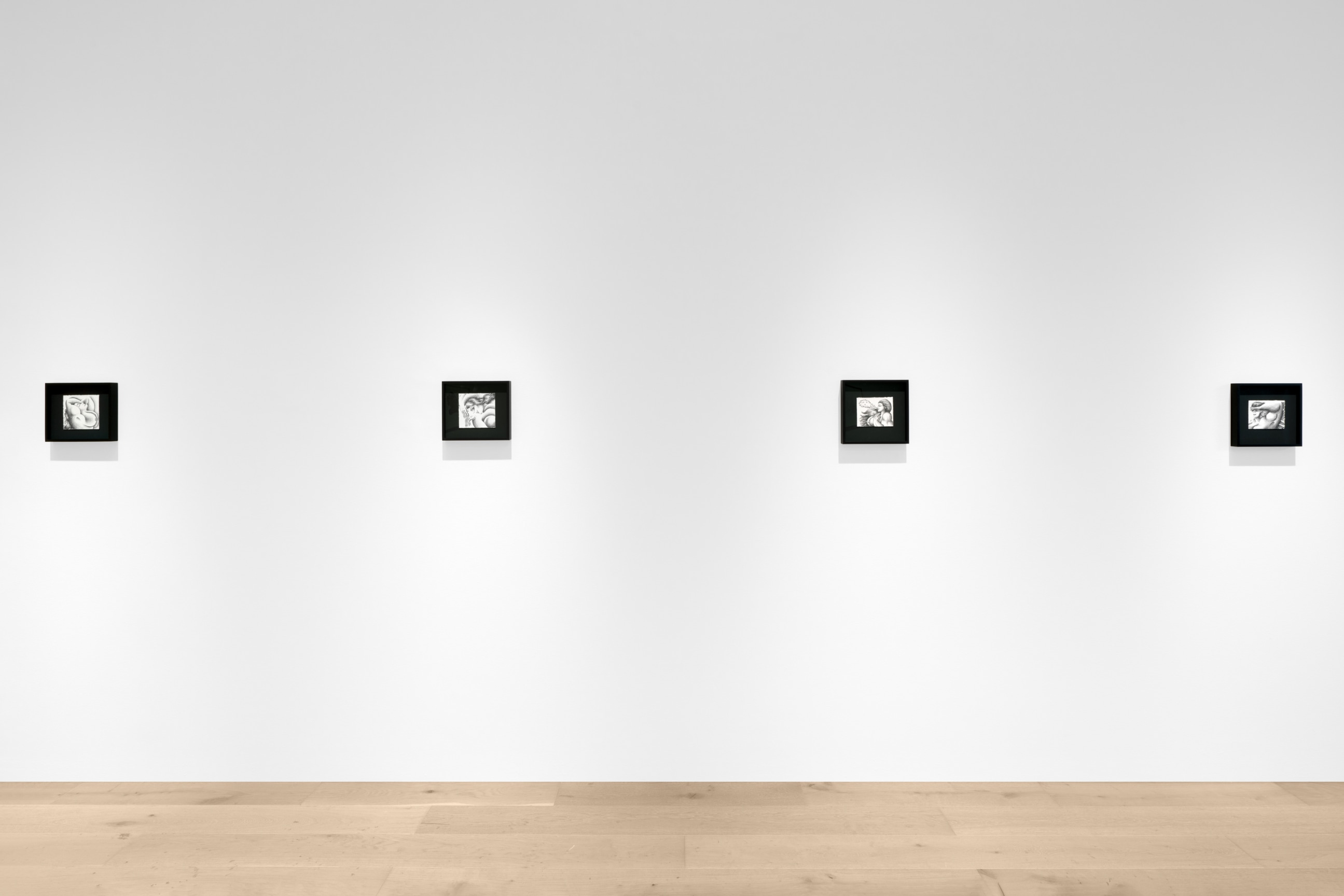 In My Room: Ana Benaroya, Tom of Finland, Karl Wirsum