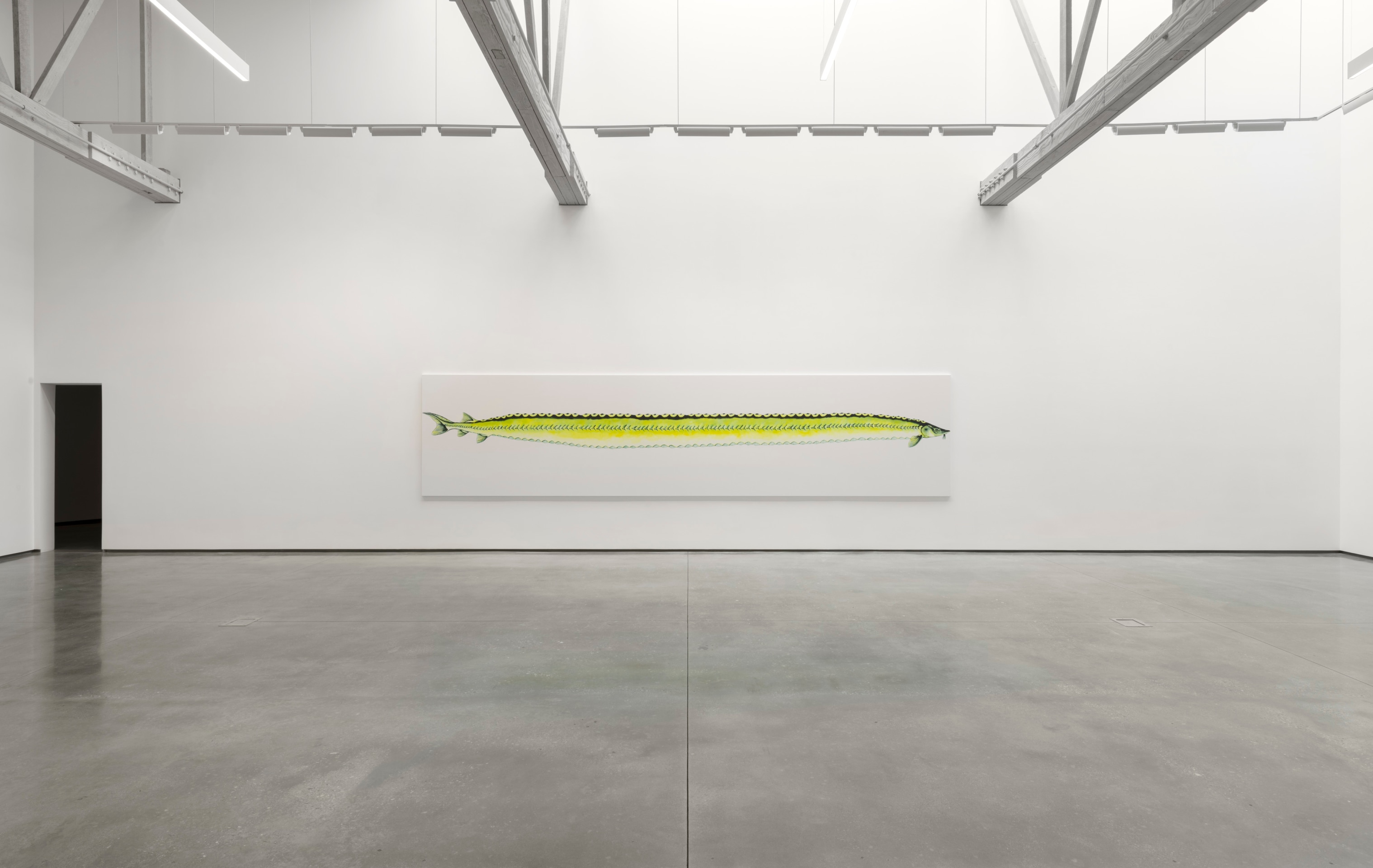 Calvin Marcus - GO HANG A SALAMI IM A LASAGNA HOG - Exhibitions - David ...