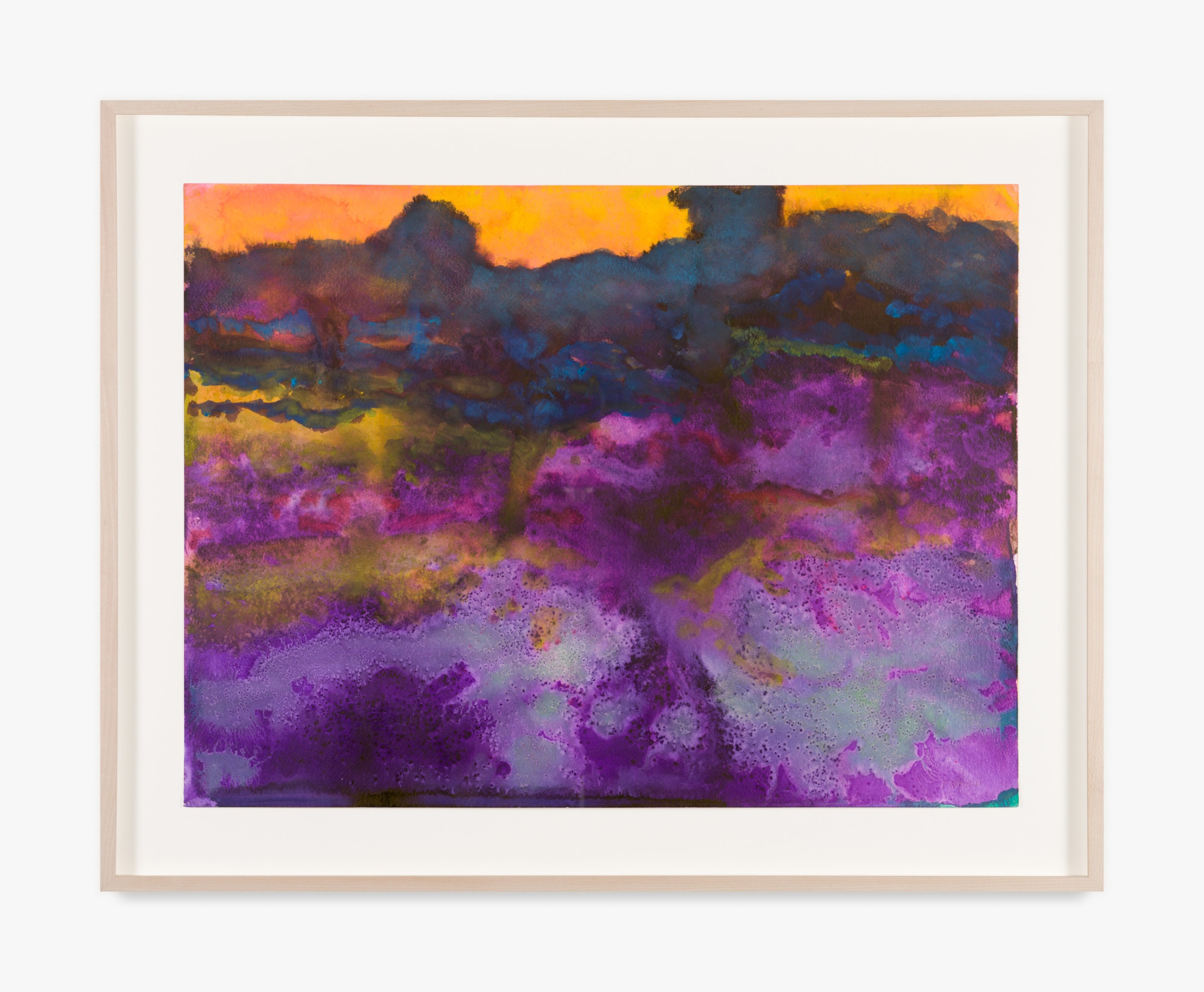 Richard Mayhew: Natural Order