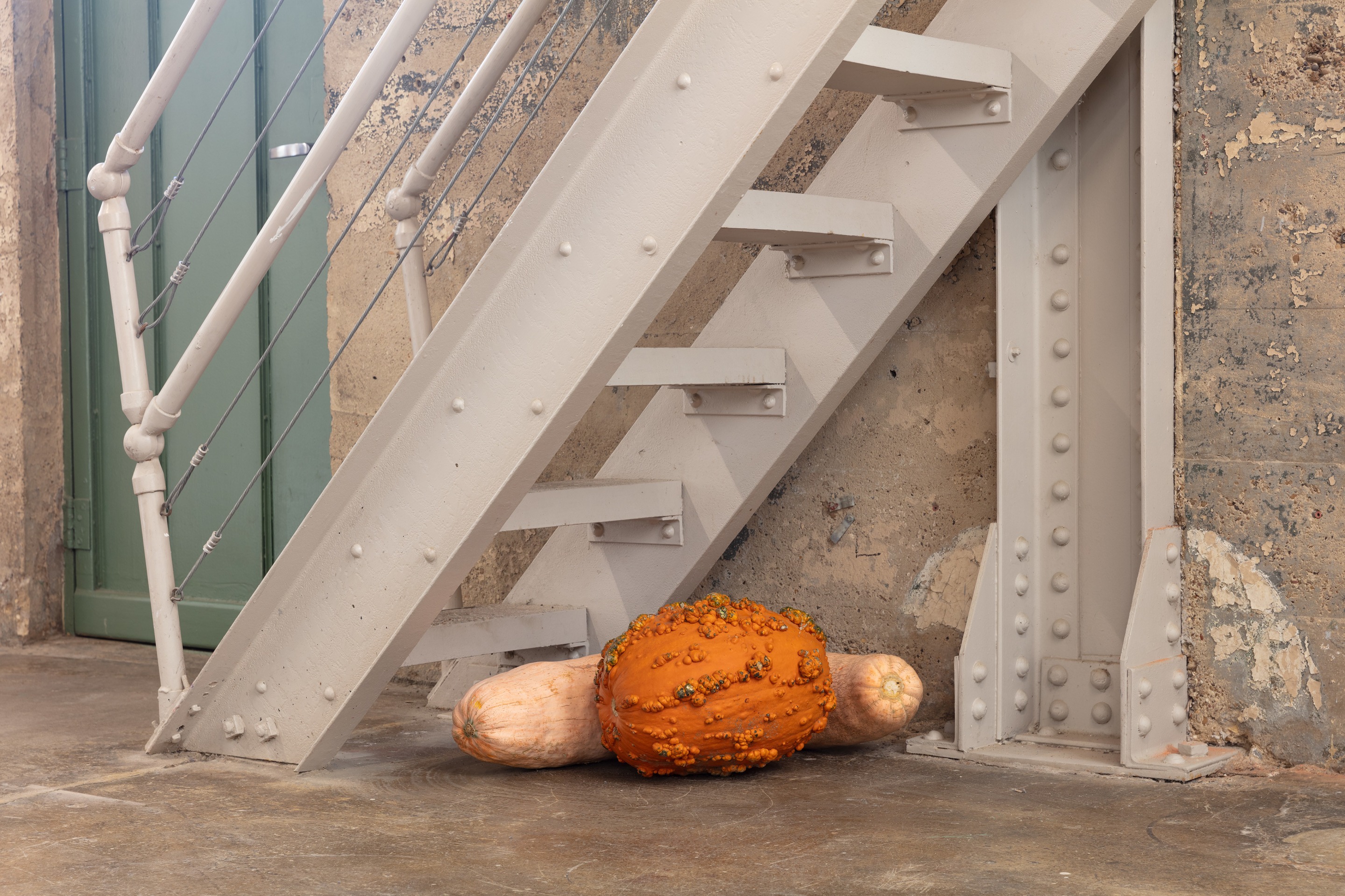 Michael Williams - Drawings - Public Exhibitions - David Kordansky Gallery