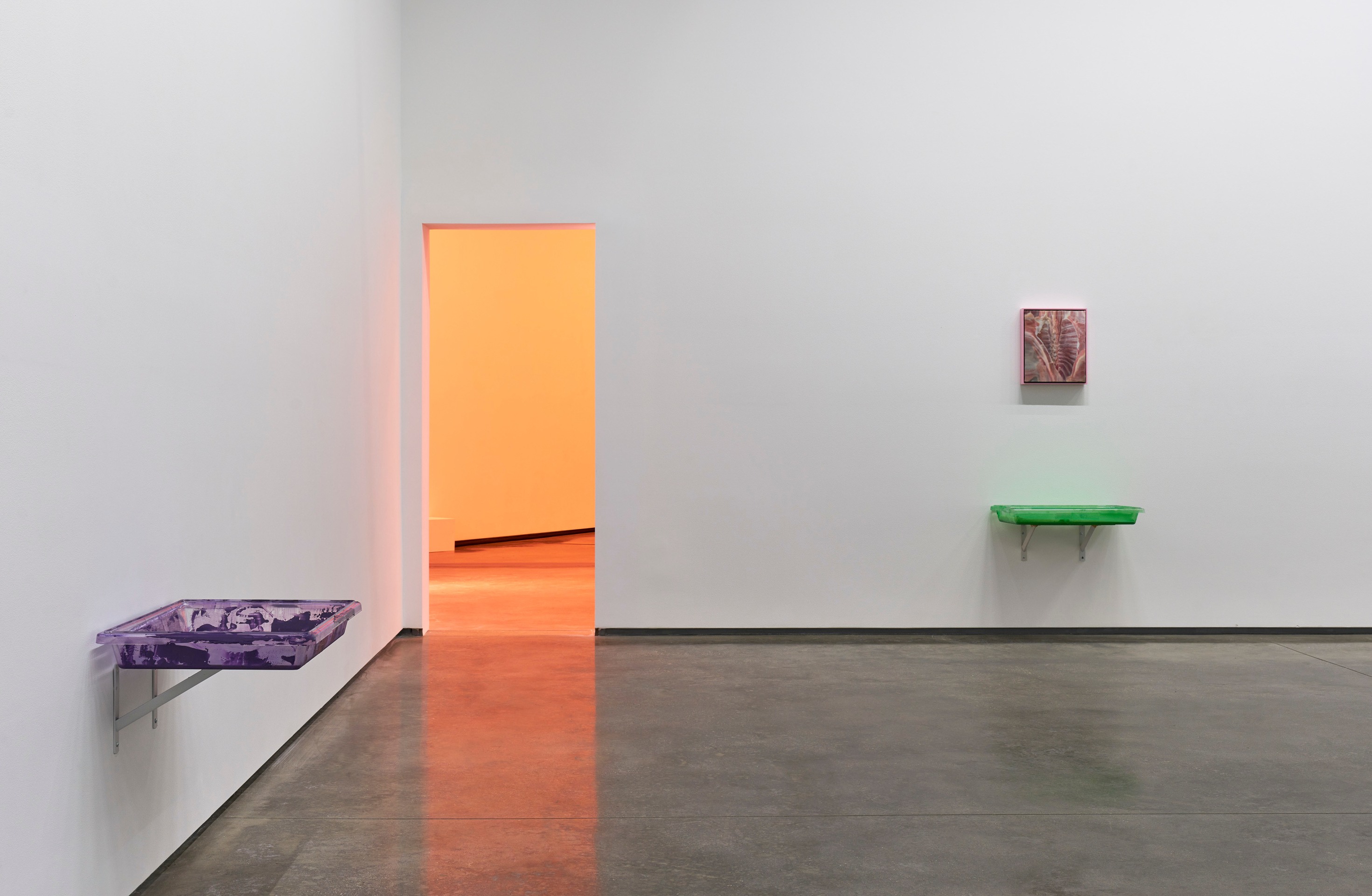 Shahryar Nashat - Happier Than Ever - Exhibitions - David Kordansky Gallery