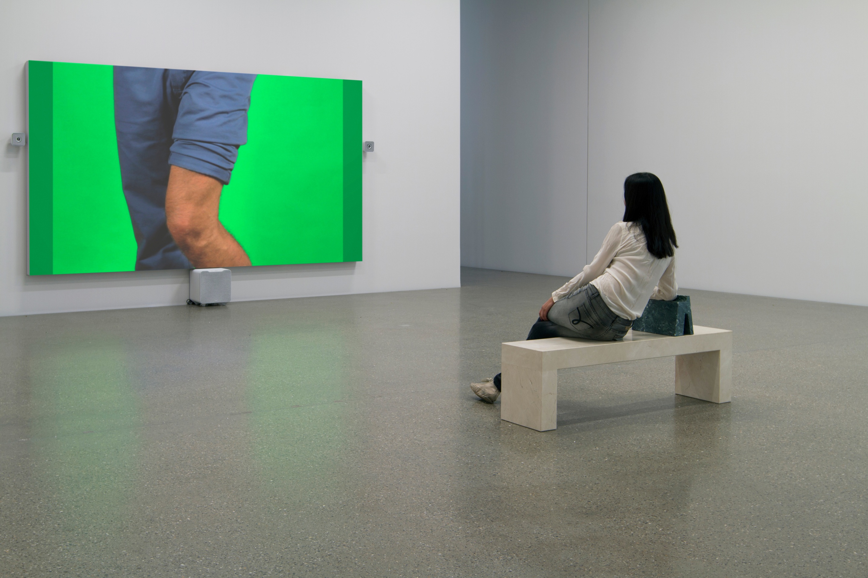 Shahryar Nashat - Exhibiting - Public Exhibitions - David Kordansky Gallery