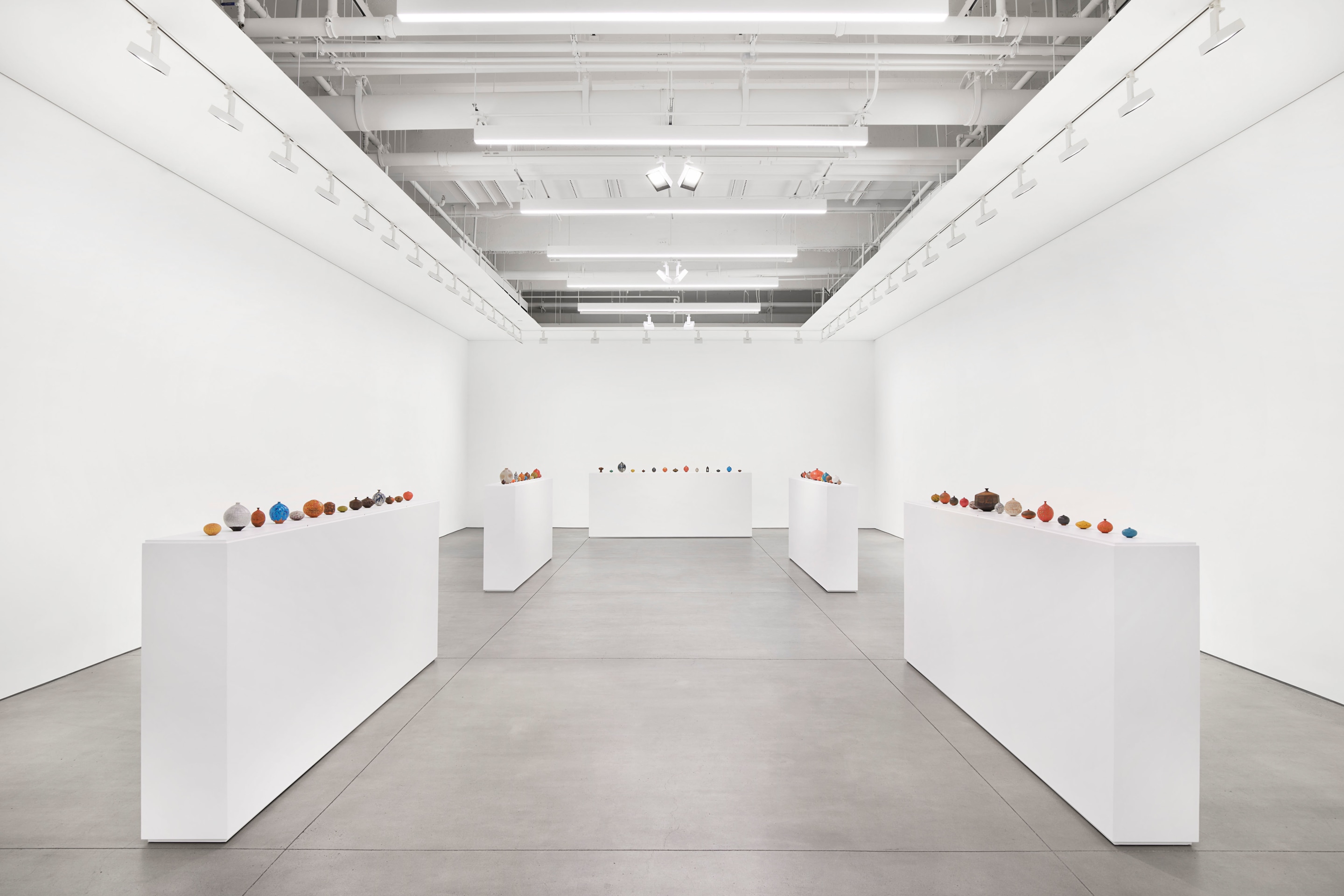Doyle Lane - Doyle Lane: Weed Pots - Exhibitions - David Kordansky Gallery