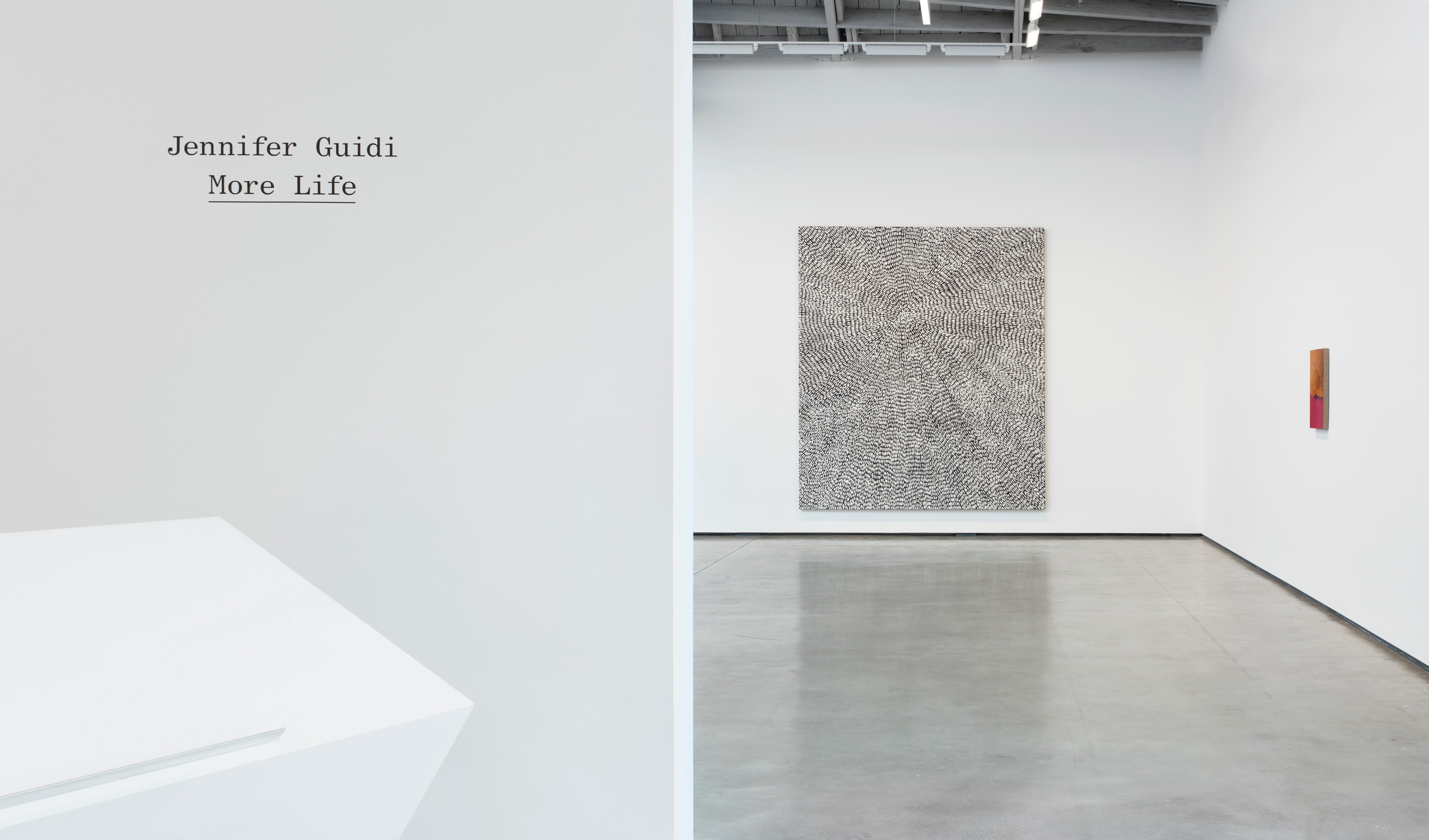 Jennifer Guidi - More Life - Exhibitions - David Kordansky Gallery