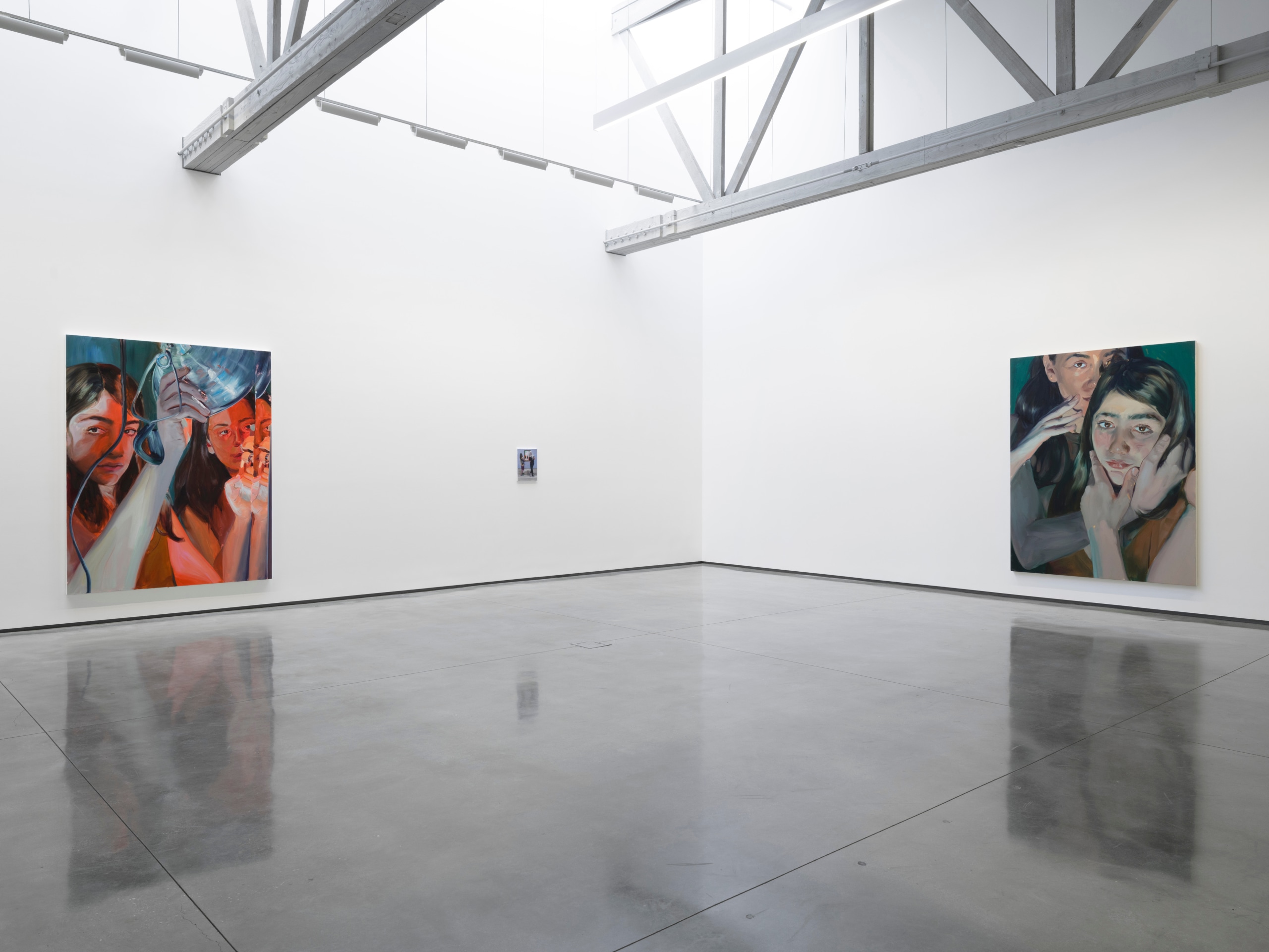 Jenna Gribbon - Like Looking in a Mirror - Exhibitions - David ...