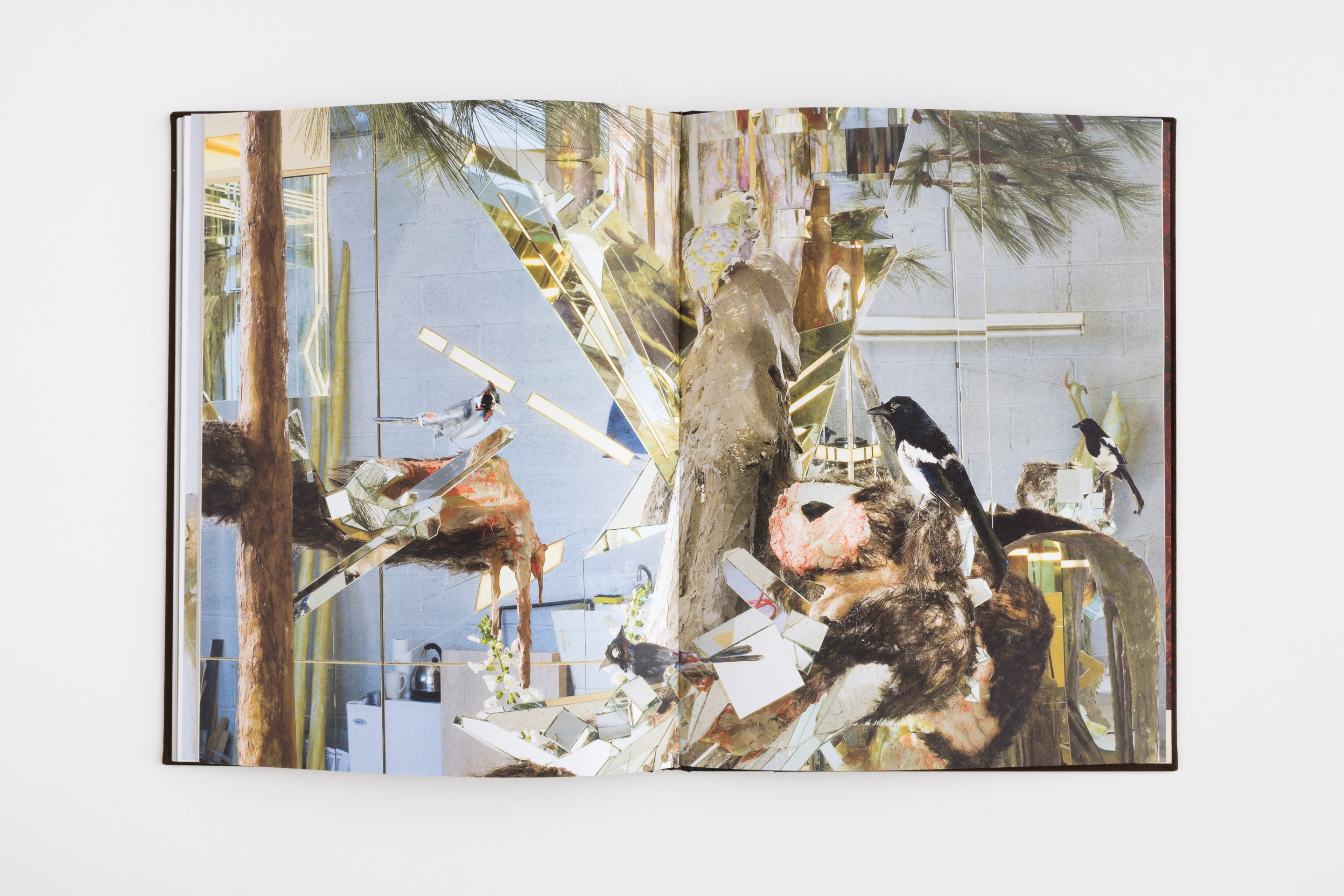 David Altmejd - The Index - Publications - David Kordansky Gallery