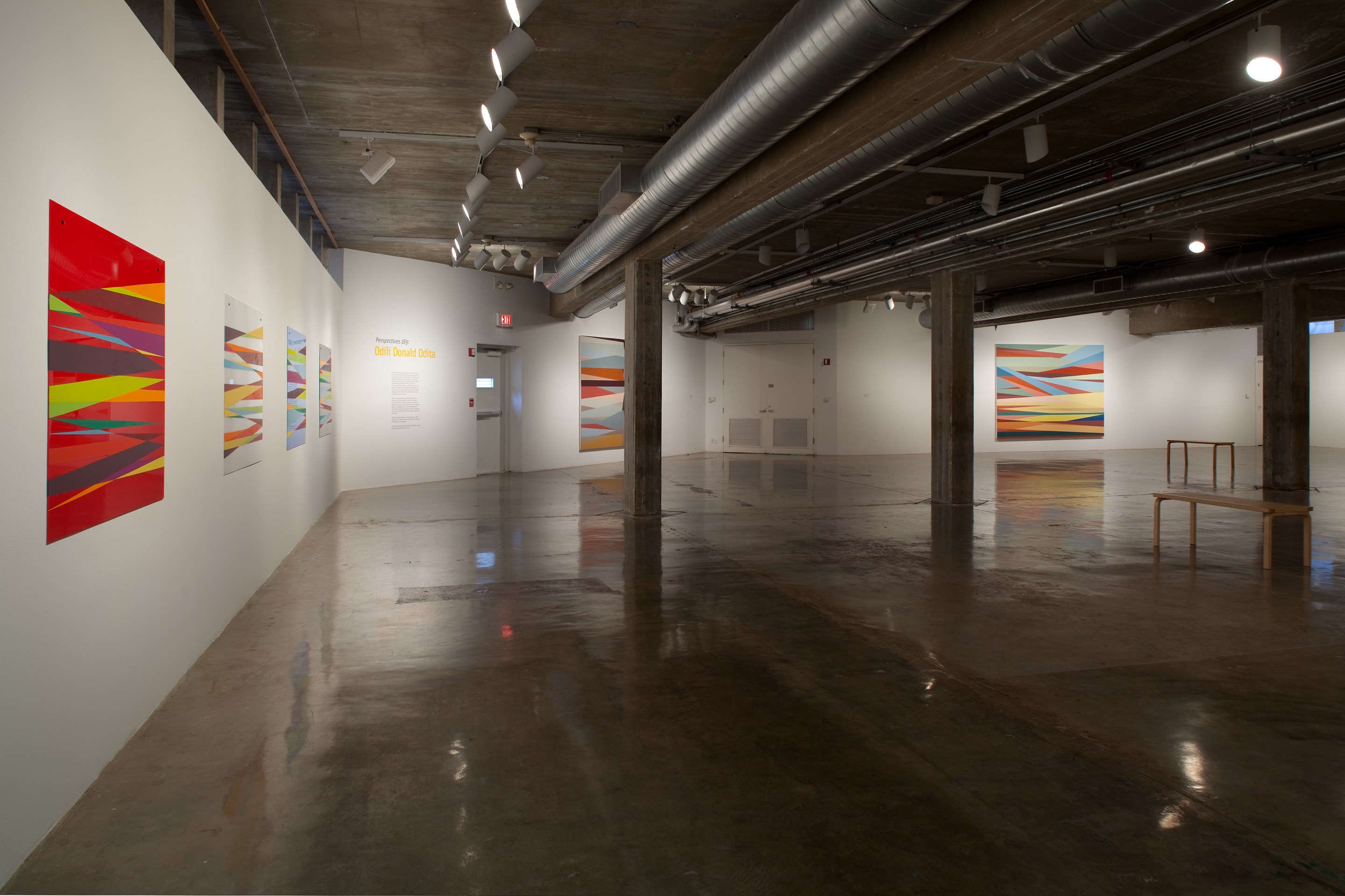 Odili Donald Odita - Perspectives 169 - Public Exhibitions - David ...