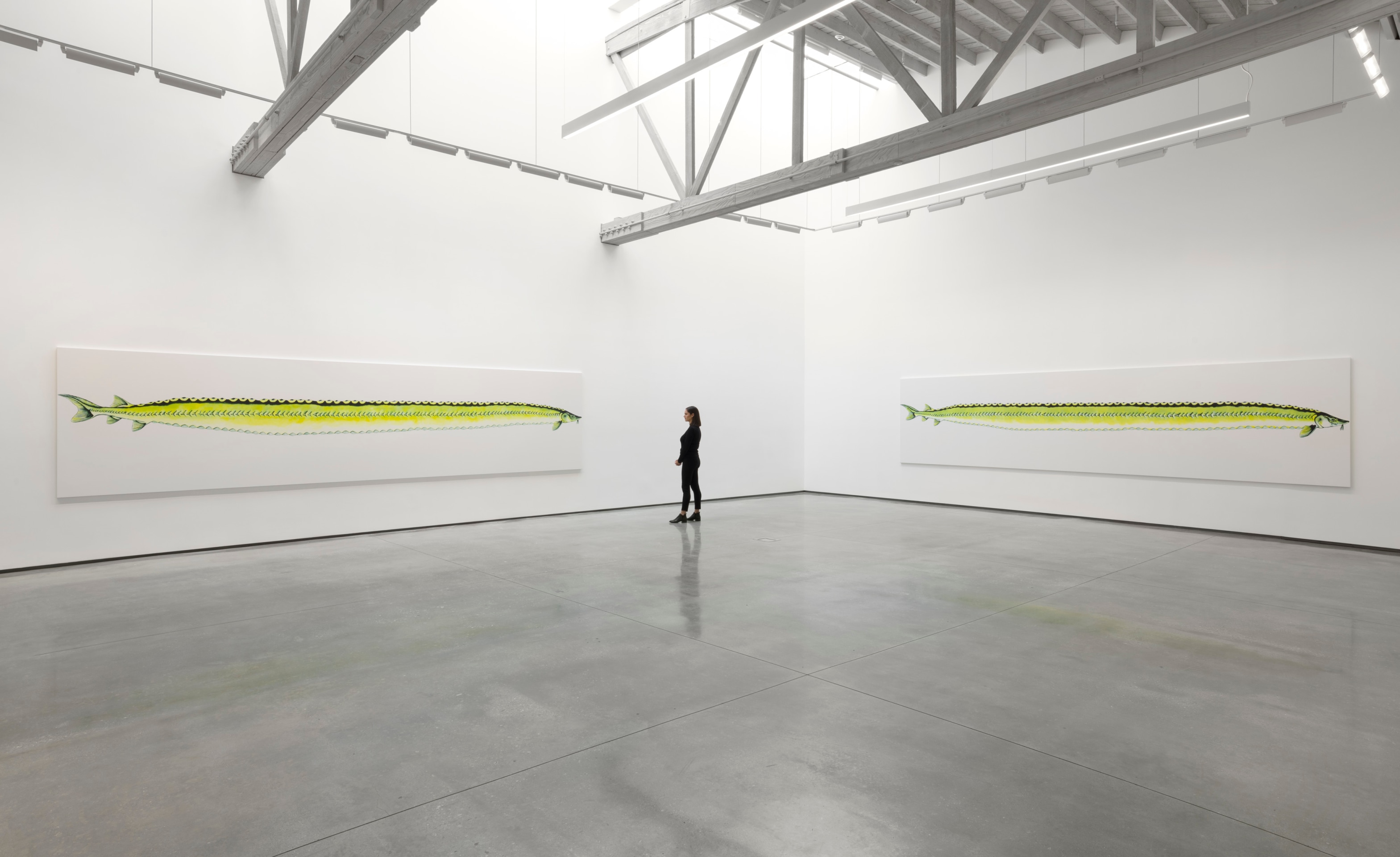 Calvin Marcus - GO HANG A SALAMI IM A LASAGNA HOG - Exhibitions - David ...