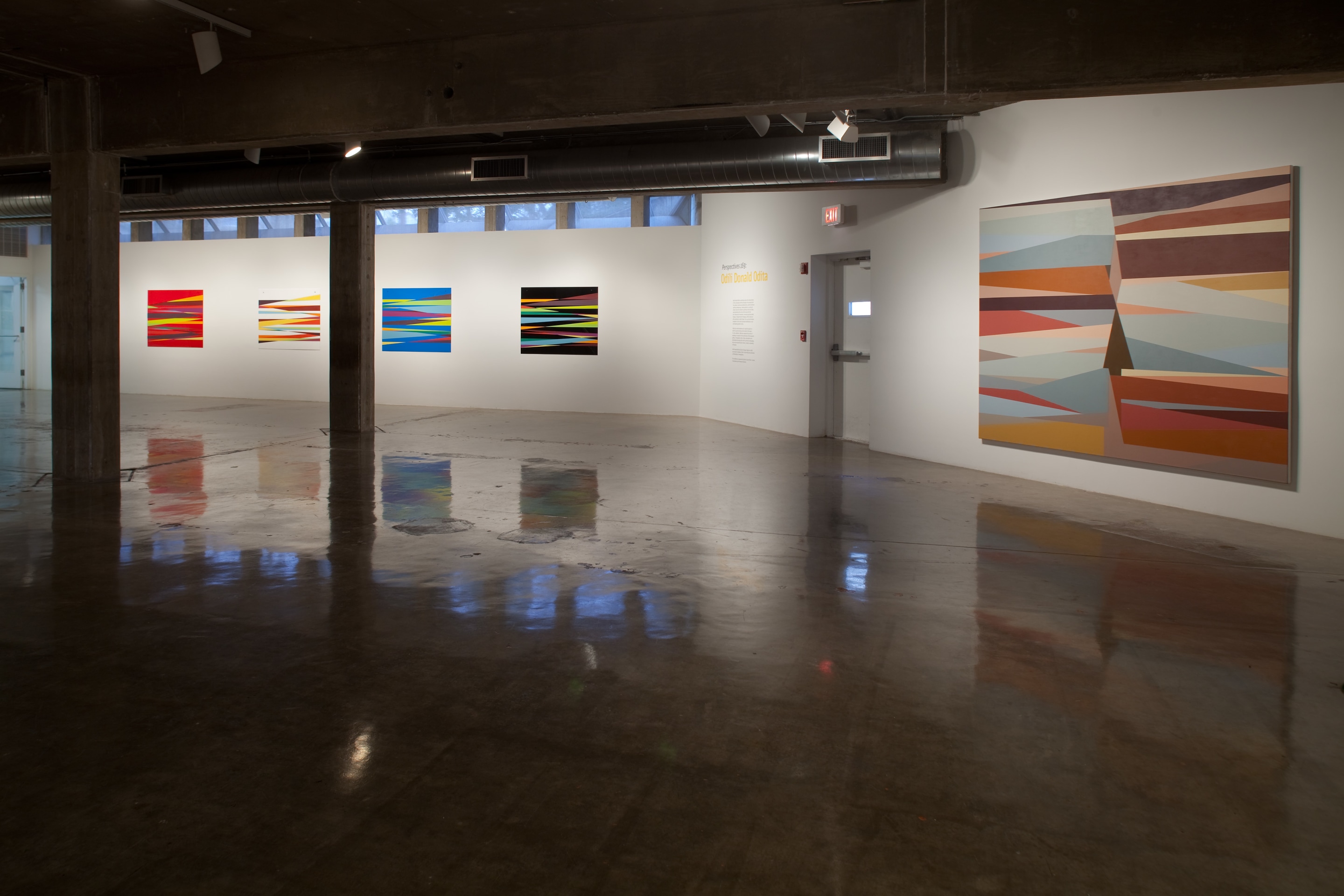 Odili Donald Odita - Perspectives 169 - Public Exhibitions - David ...