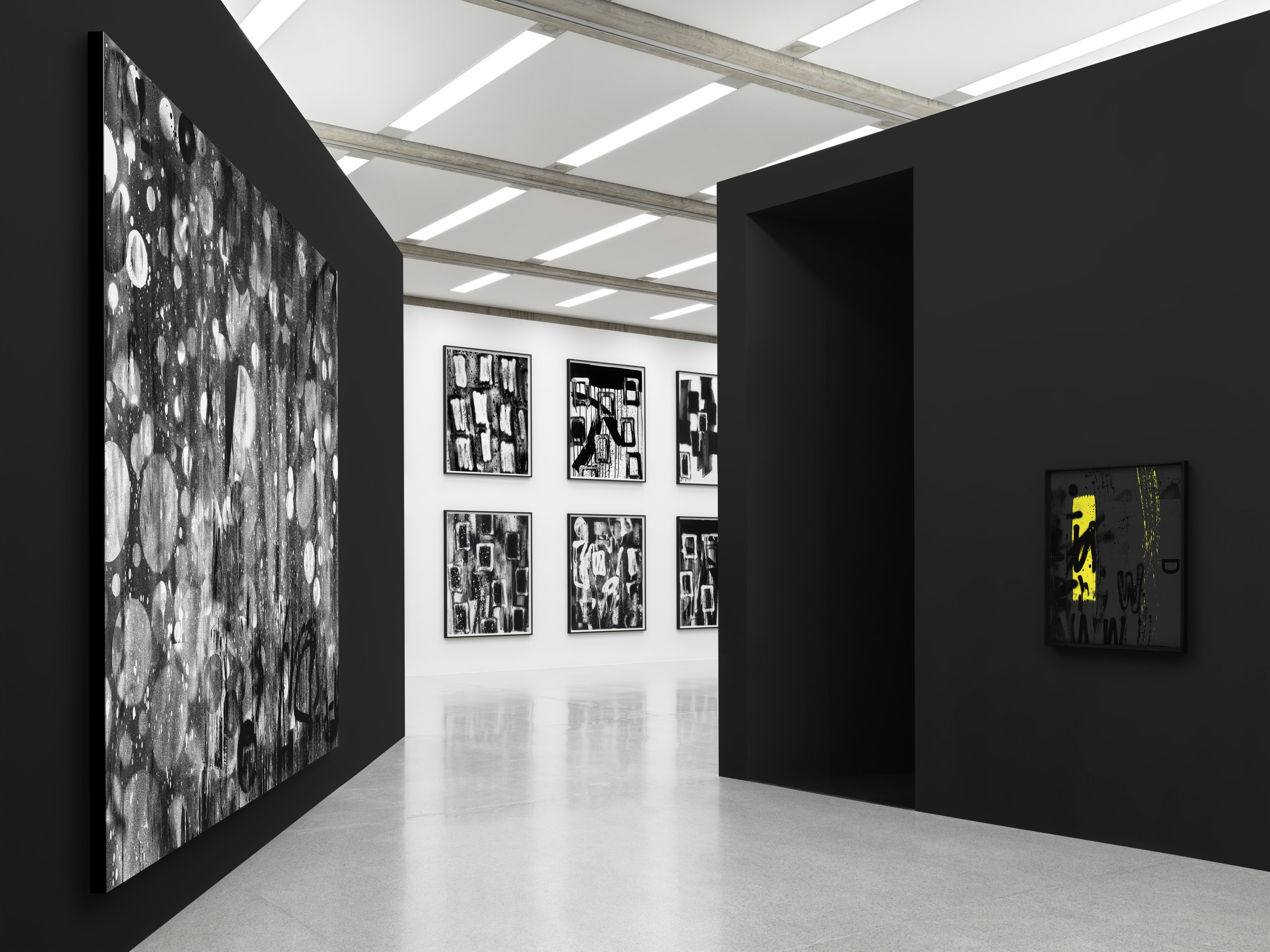 Adam Pendleton - Blackness, White, and Light - Public Exhibitions ...
