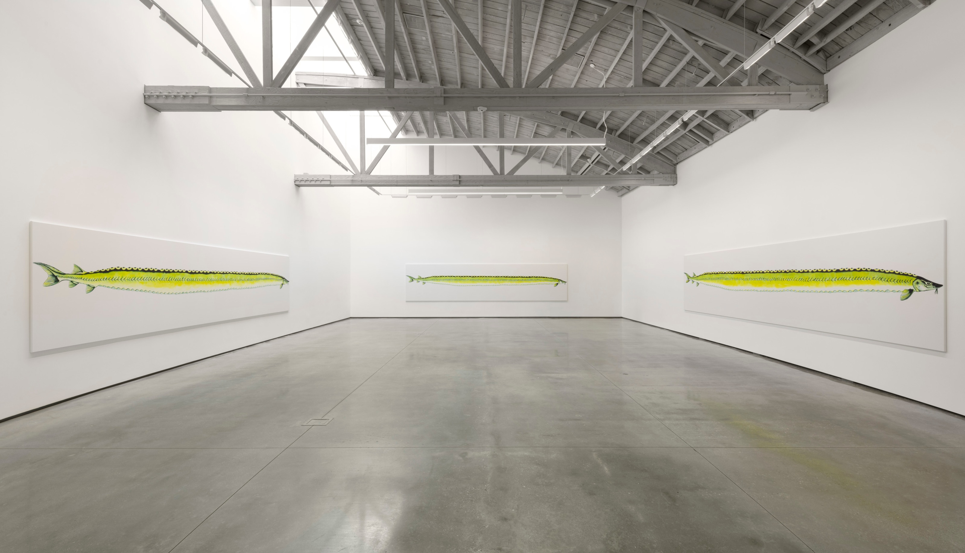 Calvin Marcus - GO HANG A SALAMI IM A LASAGNA HOG - Exhibitions - David ...