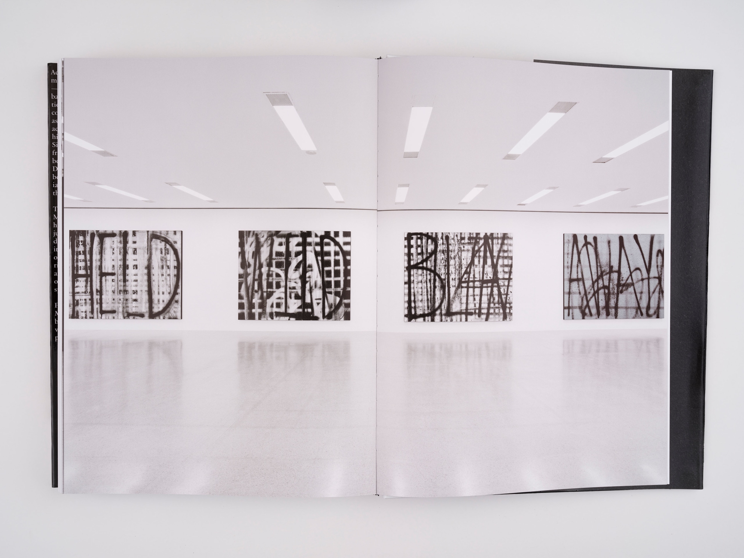 Adam Pendleton - Blackness, White, and Light - Publications - David ...