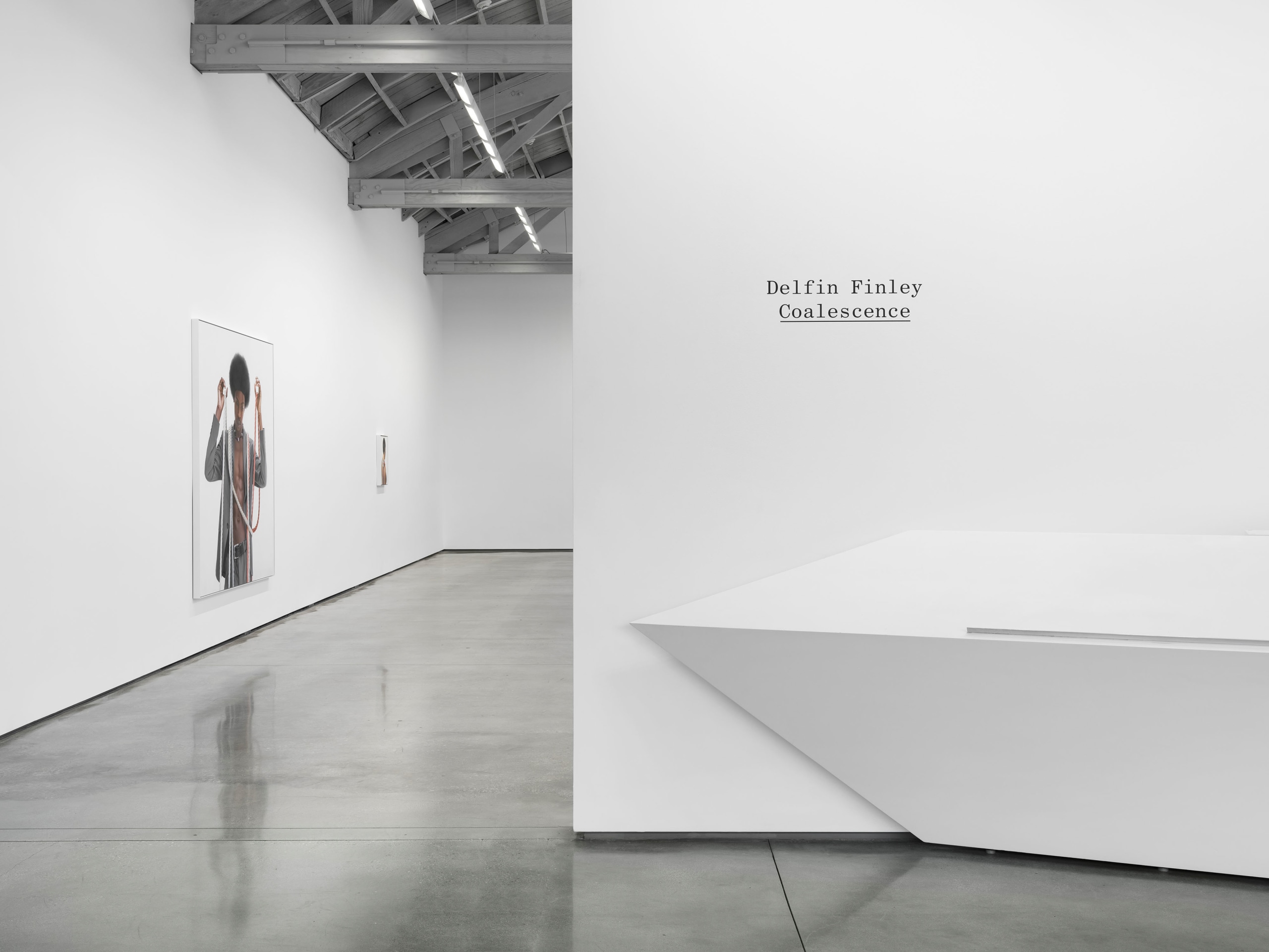 Delfin Finley - Coalescence - Exhibitions - David Kordansky Gallery