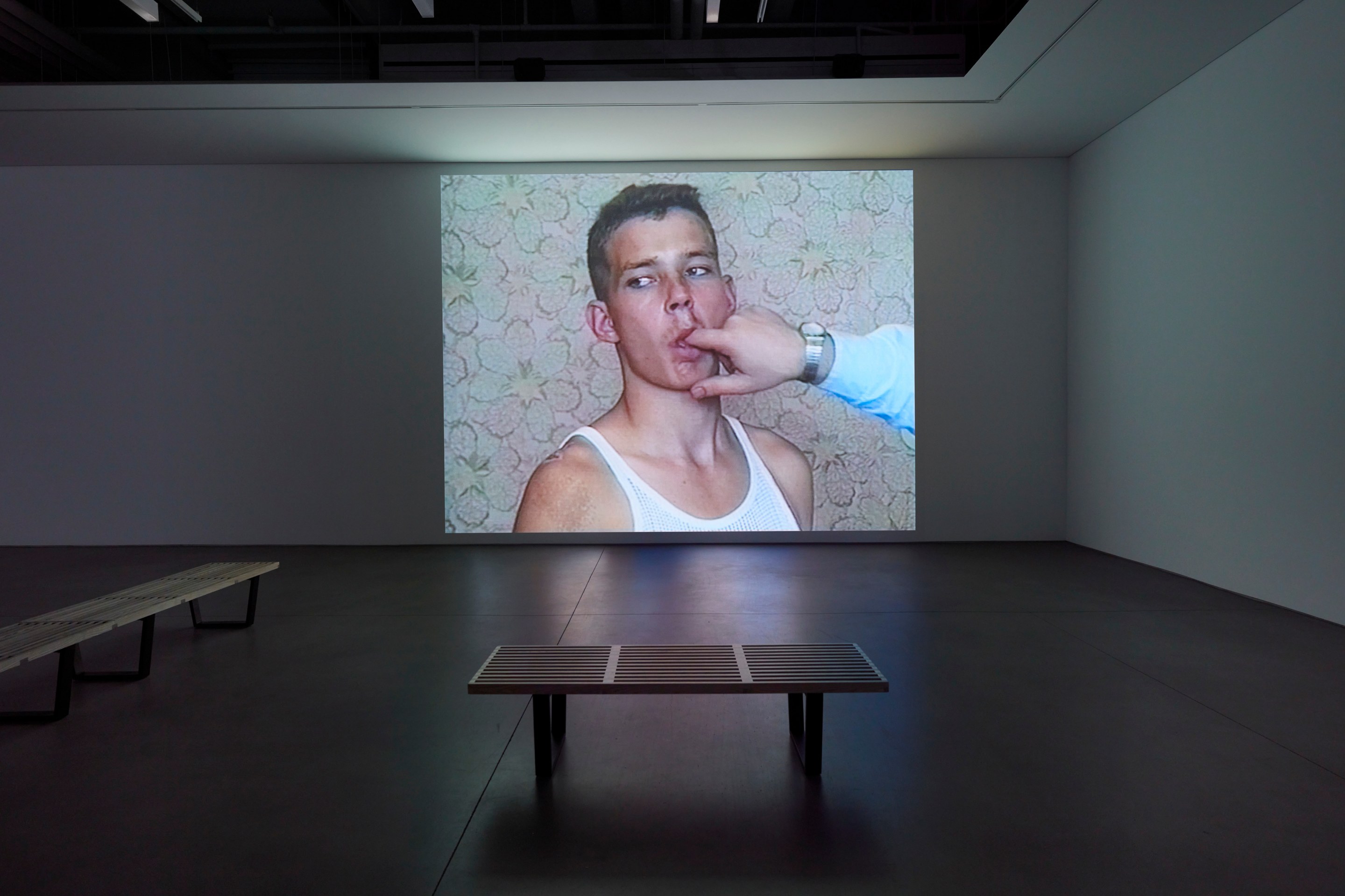 William E. Jones - Survey - Exhibitions - David Kordansky Gallery