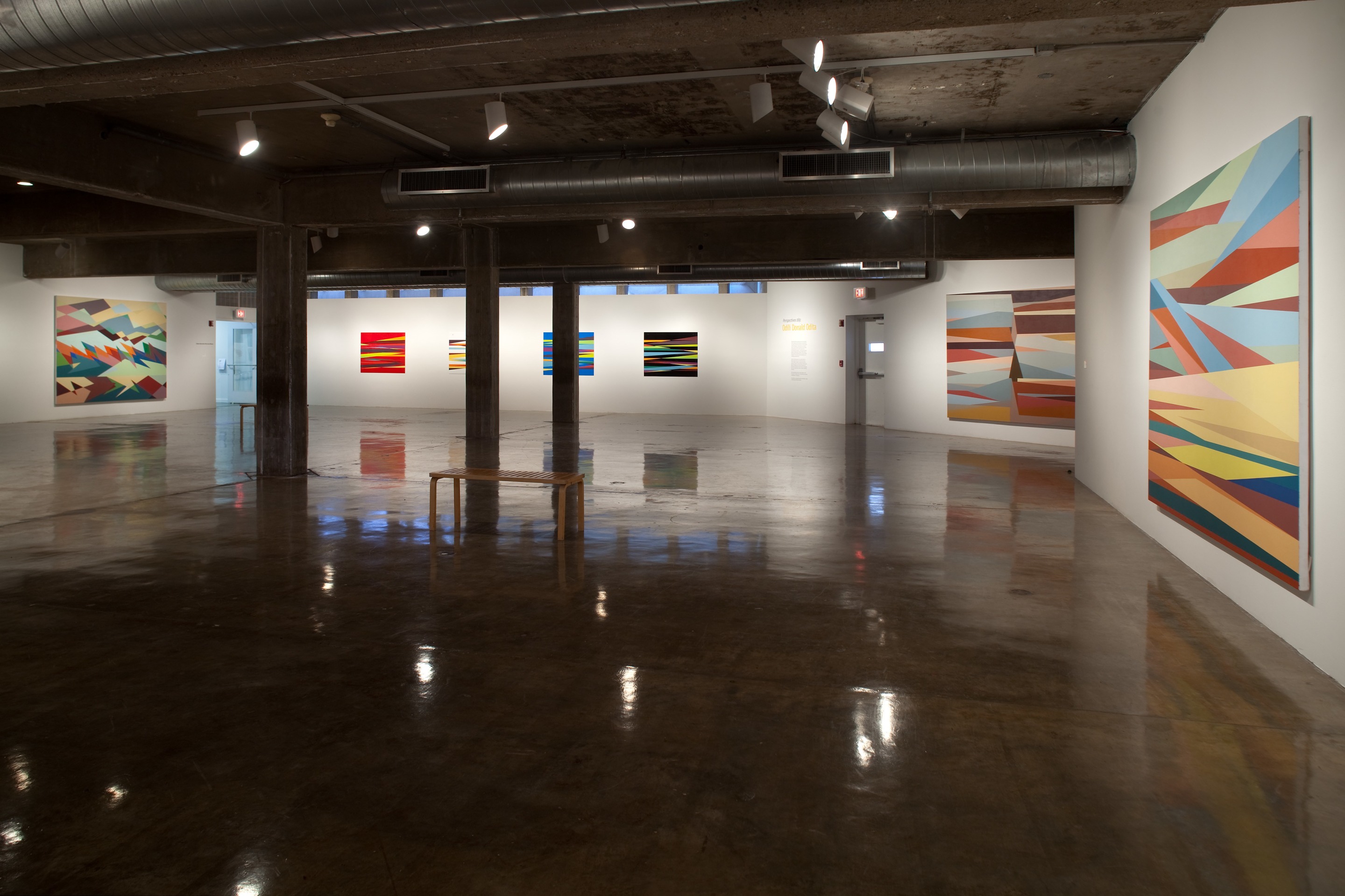 Odili Donald Odita - Perspectives 169 - Public Exhibitions - David ...