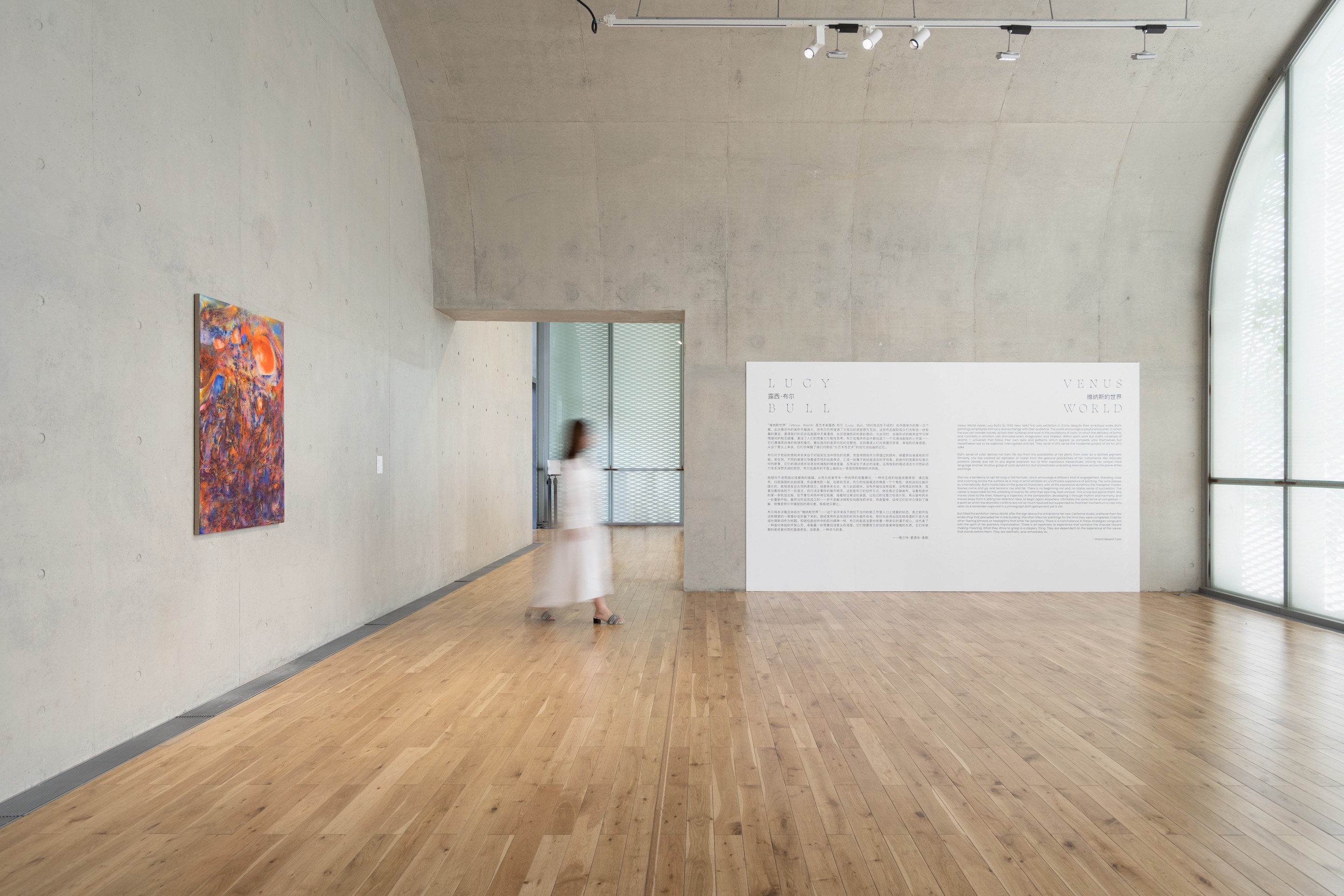 Lucy Bull - Venus World - Public Exhibitions - David Kordansky Gallery