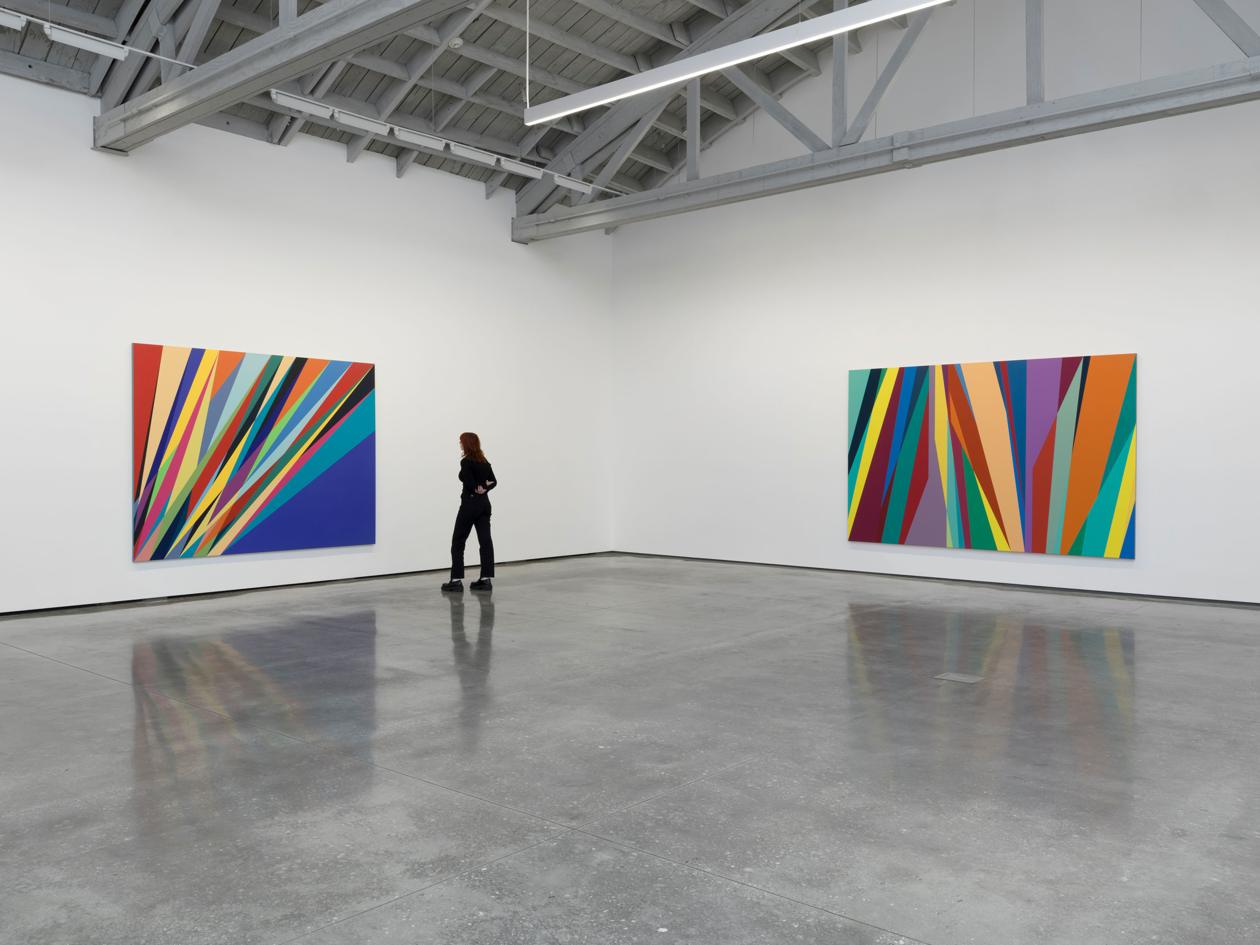 Odili Donald Odita - Degrees of Separation - Exhibitions - David ...