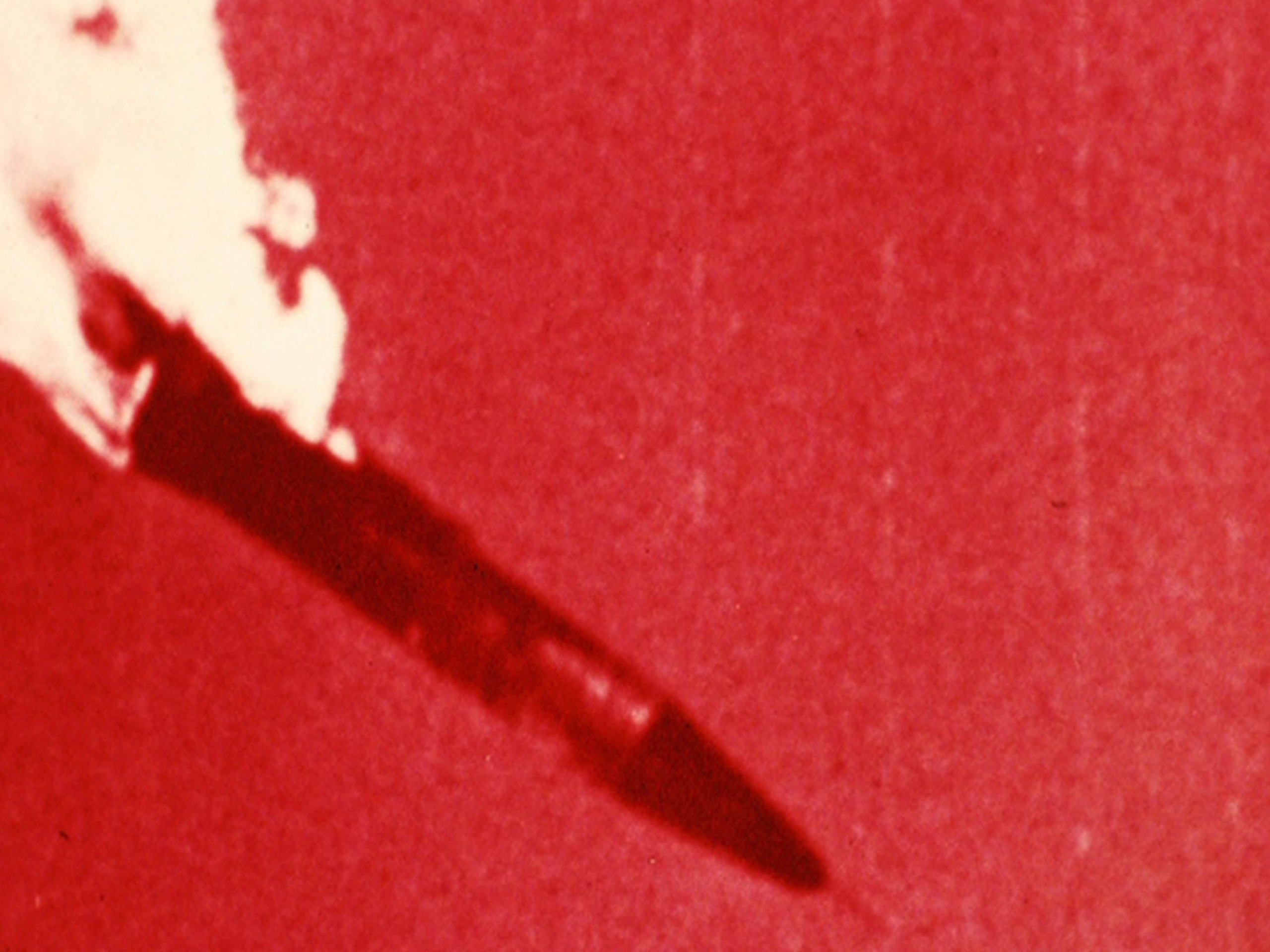 William E. Jones - Survey - Exhibitions - David Kordansky Gallery