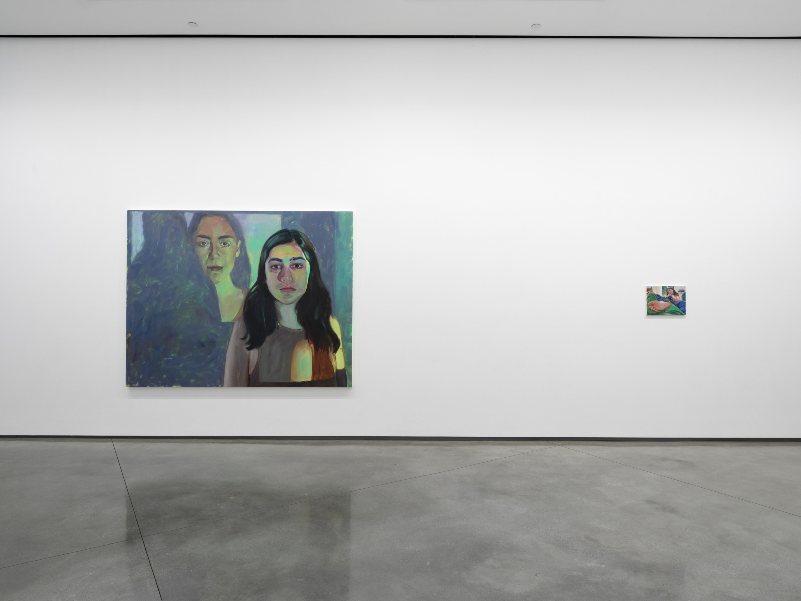 Jenna Gribbon - Like Looking in a Mirror - Exhibitions - David ...