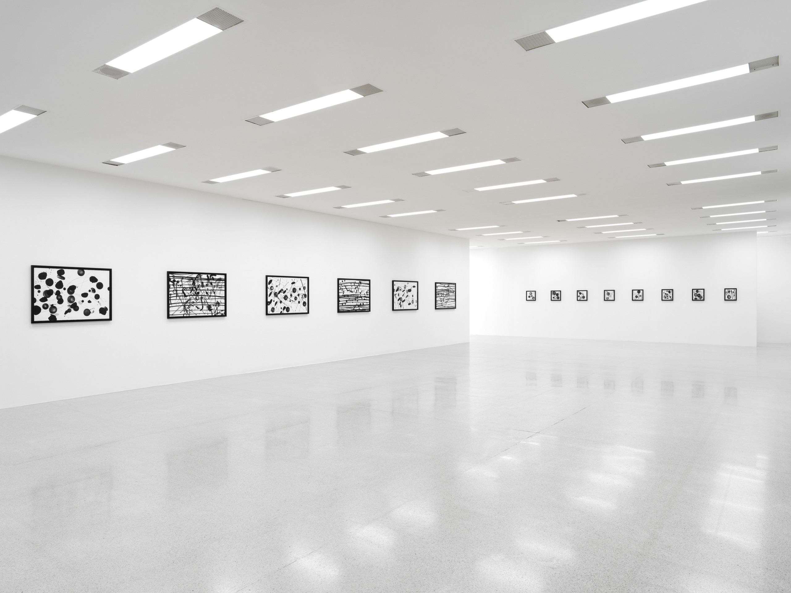 Adam Pendleton - Blackness, White, and Light - Public Exhibitions ...