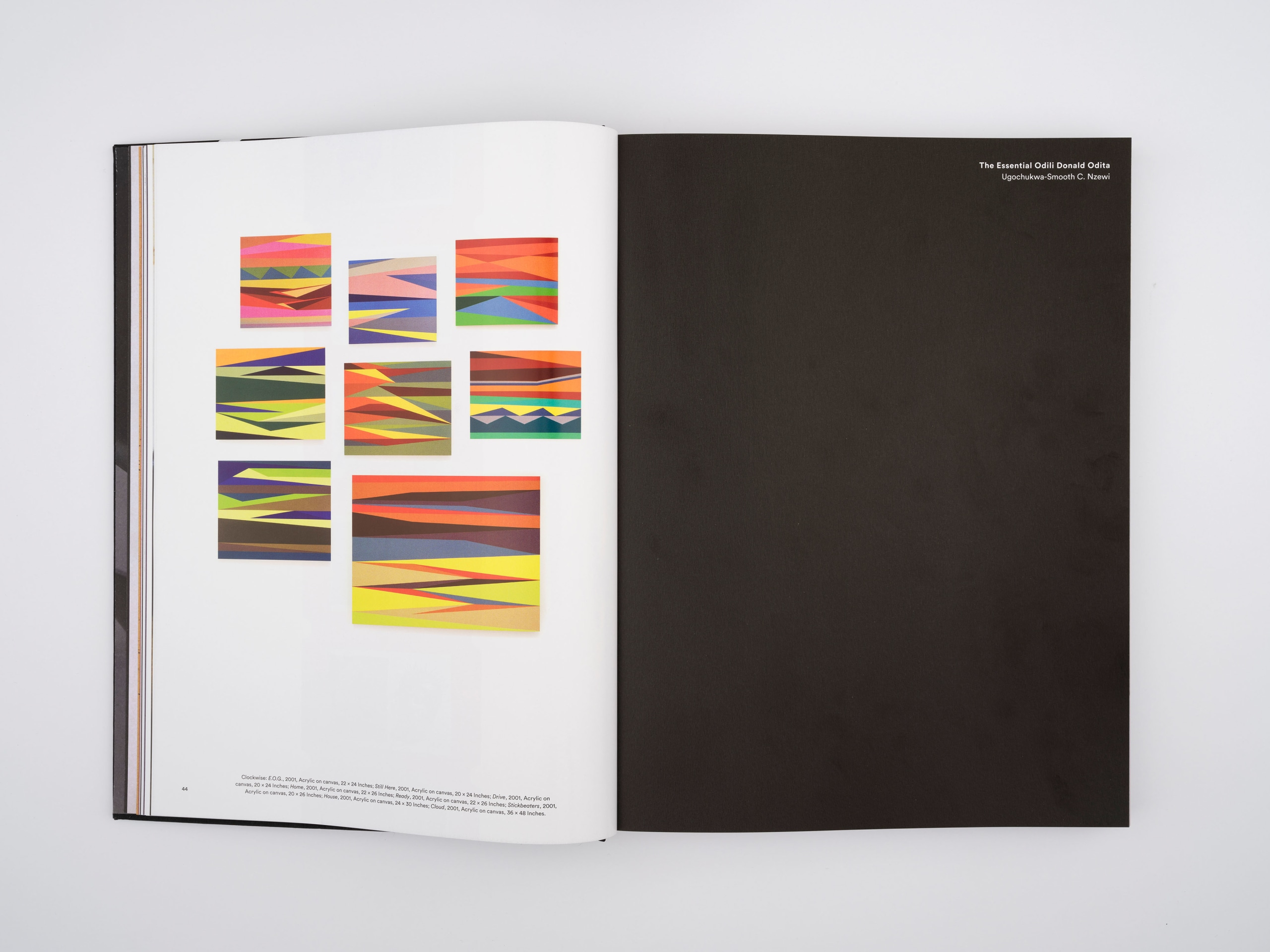 Odili Donald Odita - - Publications - David Kordansky Gallery