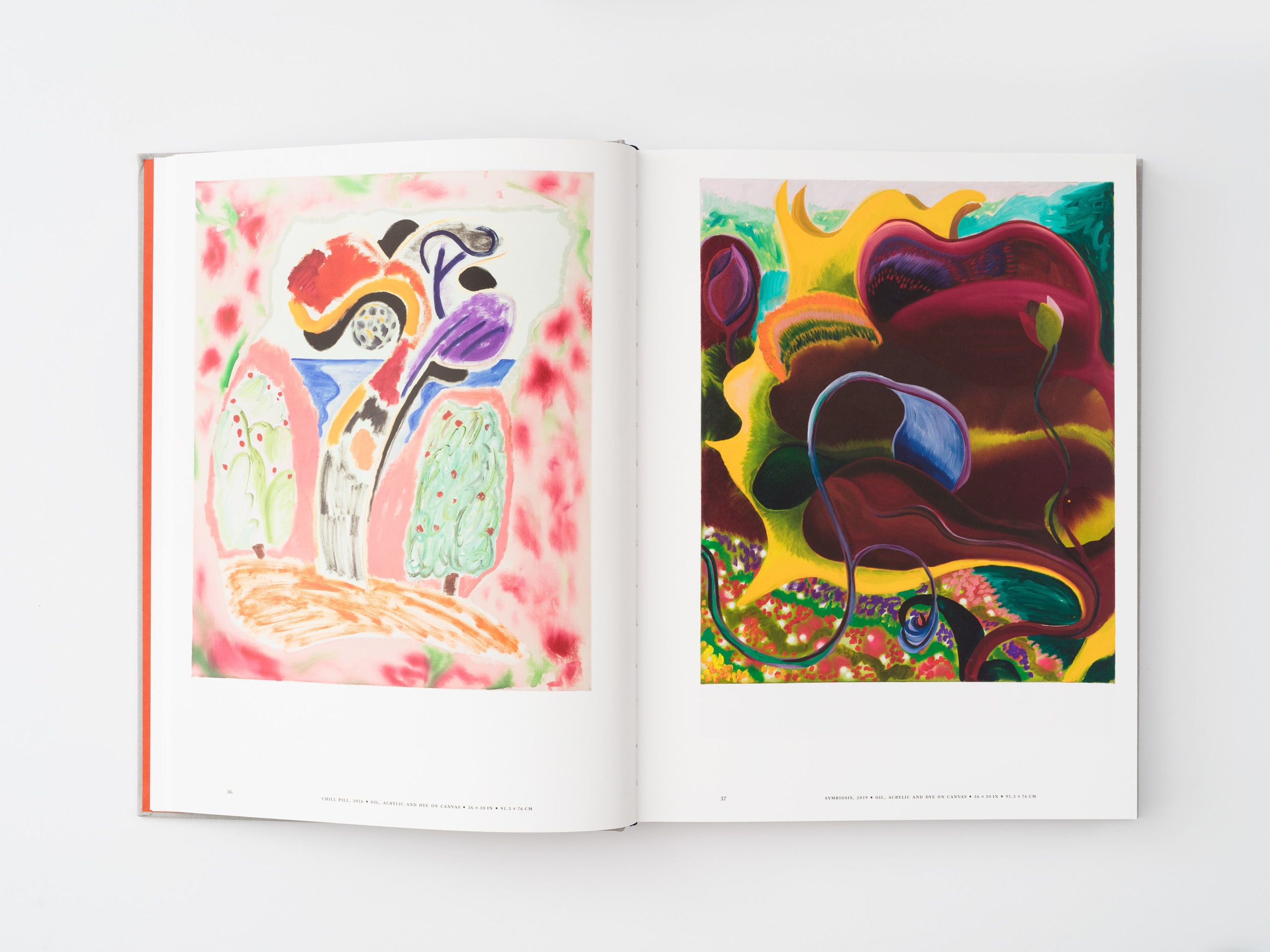 Shara Hughes - - Publications - David Kordansky Gallery