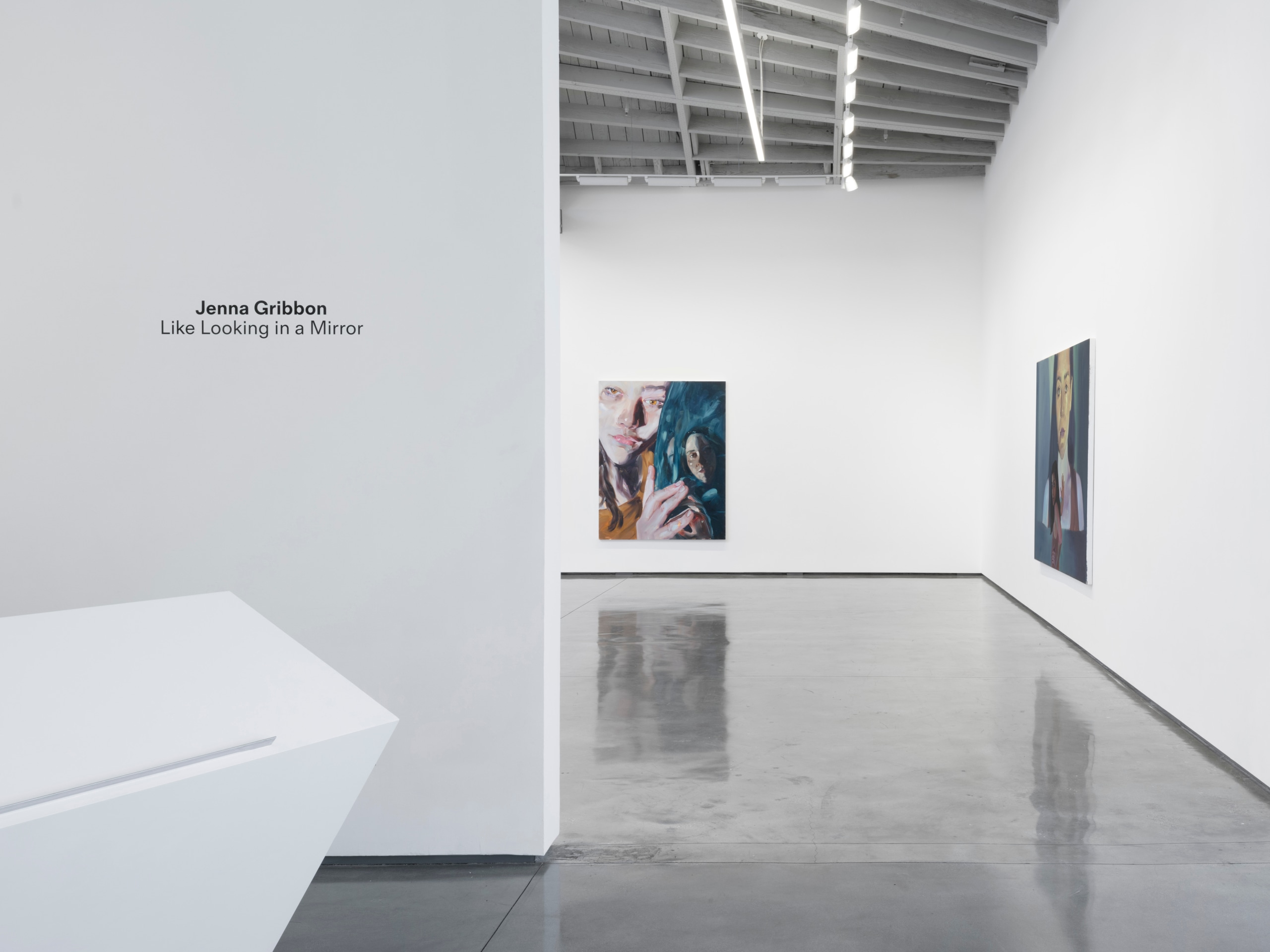 Jenna Gribbon - Like Looking in a Mirror - Exhibitions - David ...