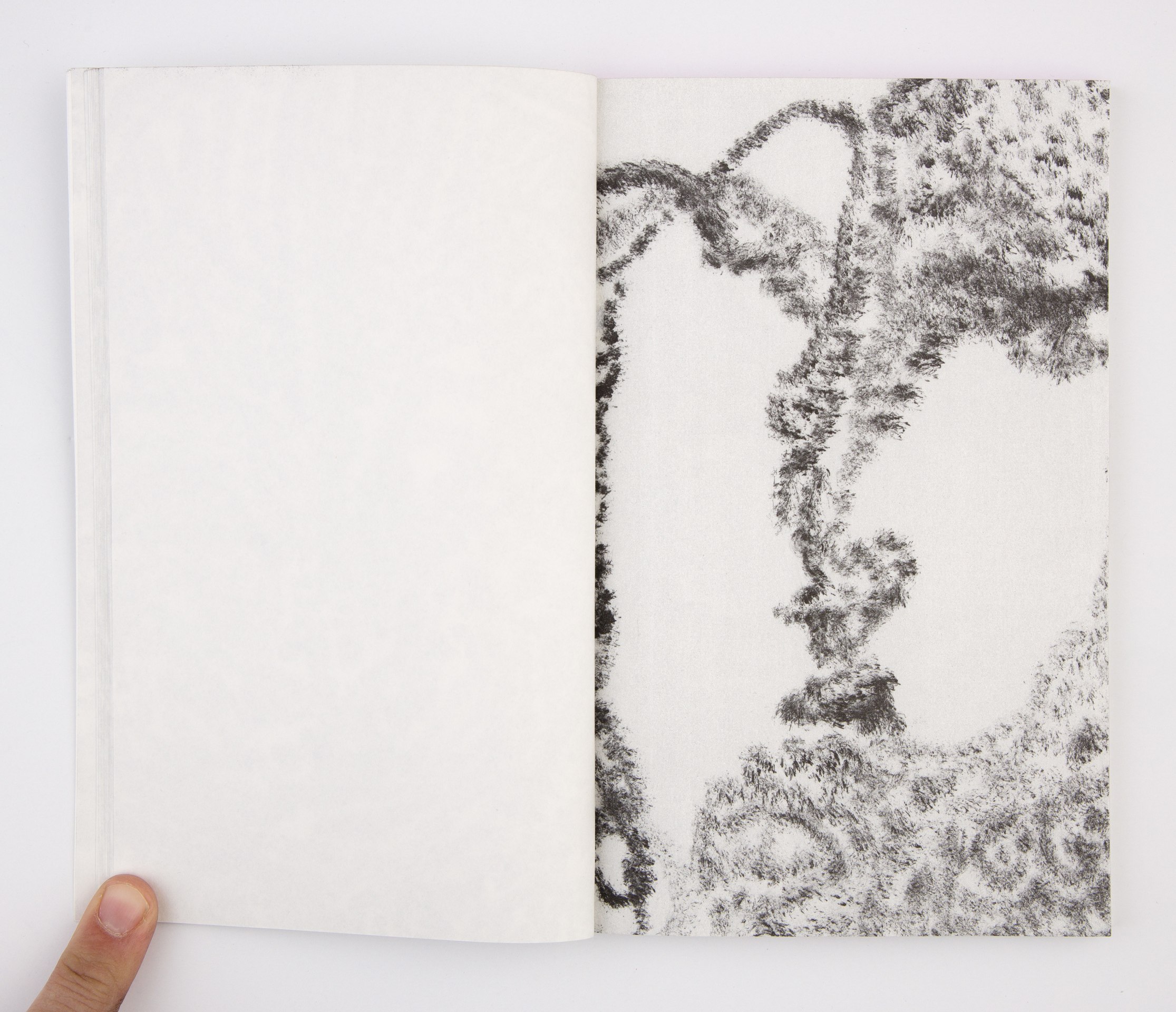 Lucy Bull - Plume - Publications - David Kordansky Gallery