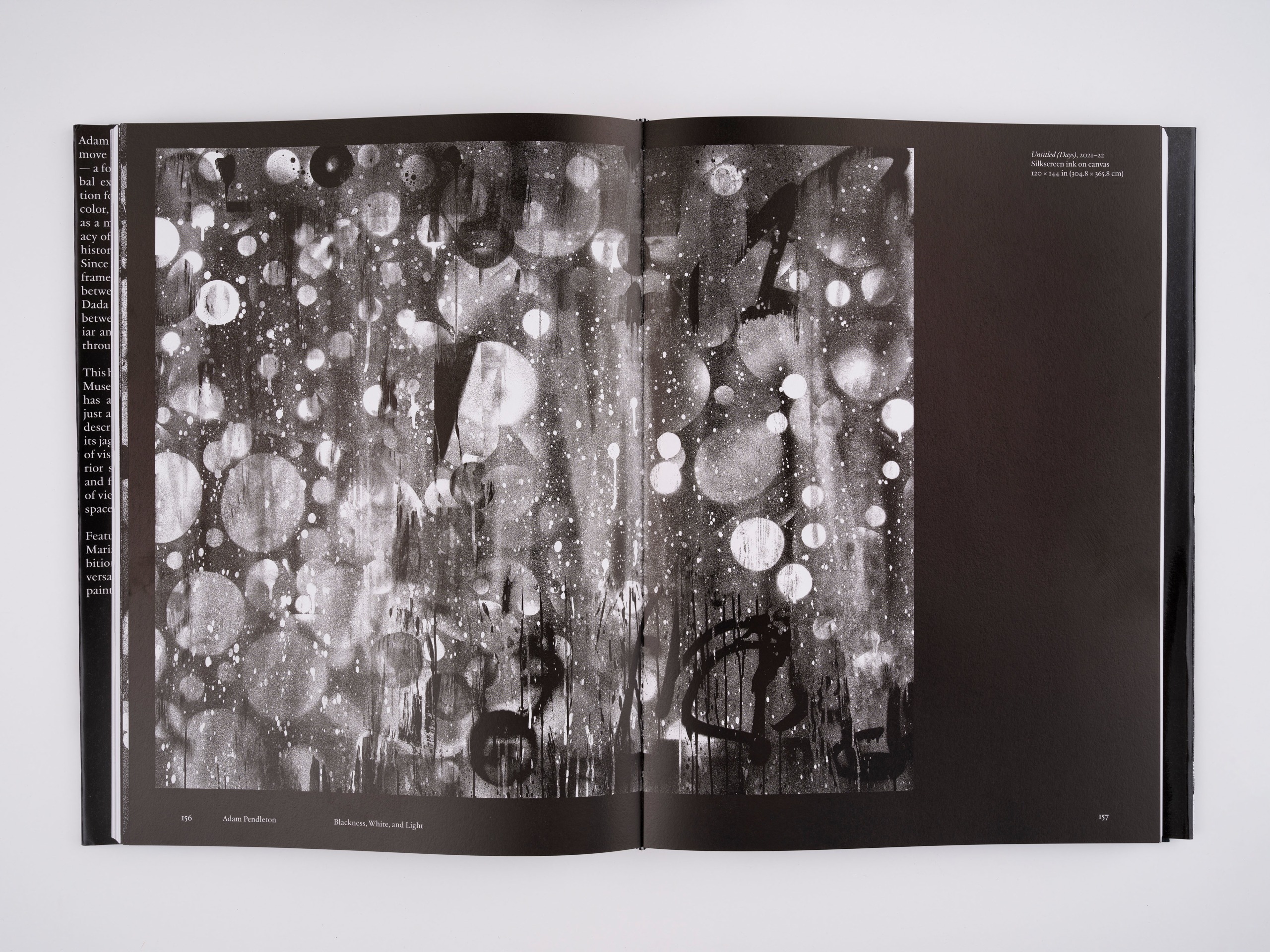 Adam Pendleton - Blackness, White, and Light - Publications - David ...