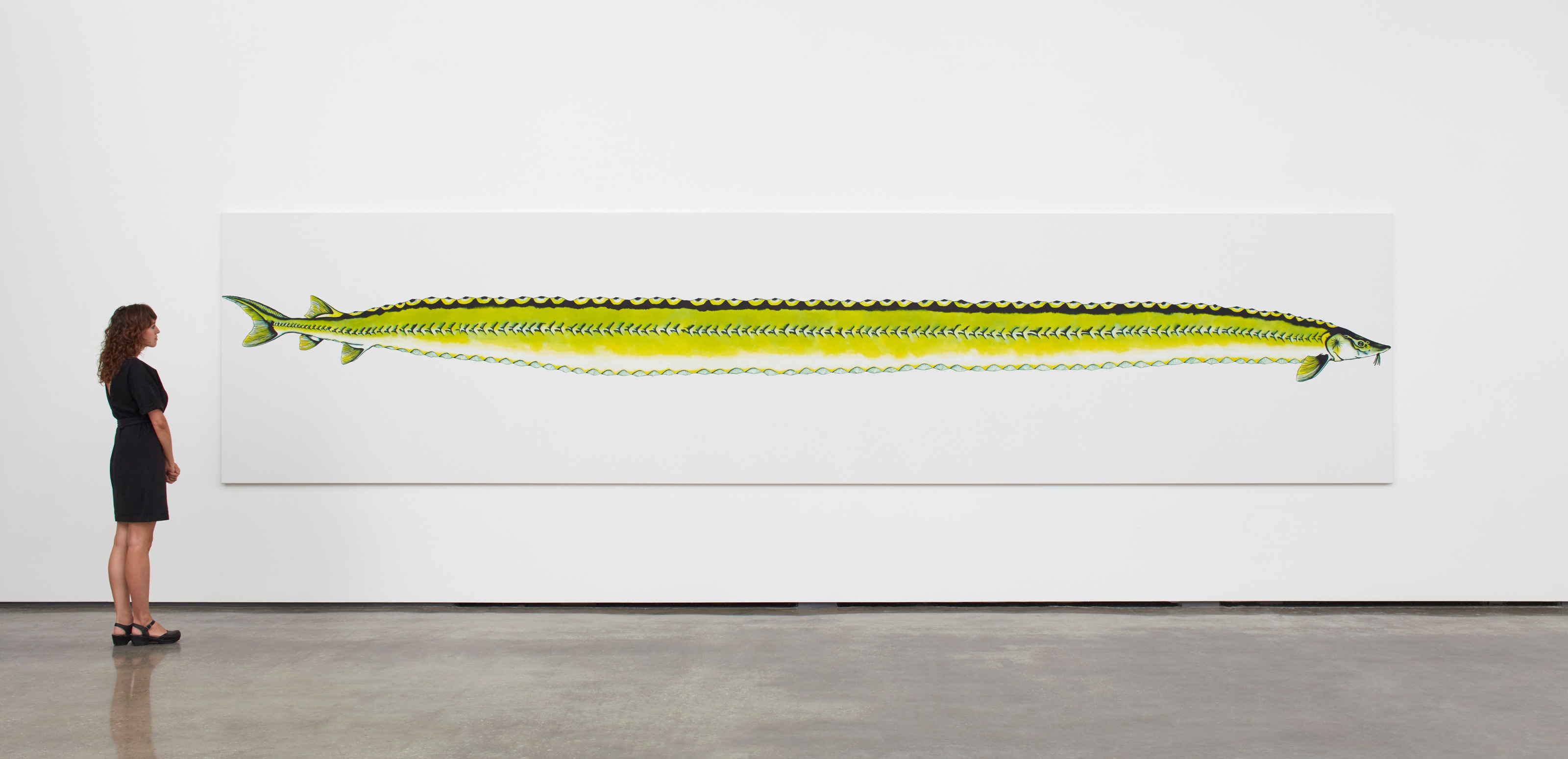 Calvin Marcus - GO HANG A SALAMI IM A LASAGNA HOG - Exhibitions - David ...