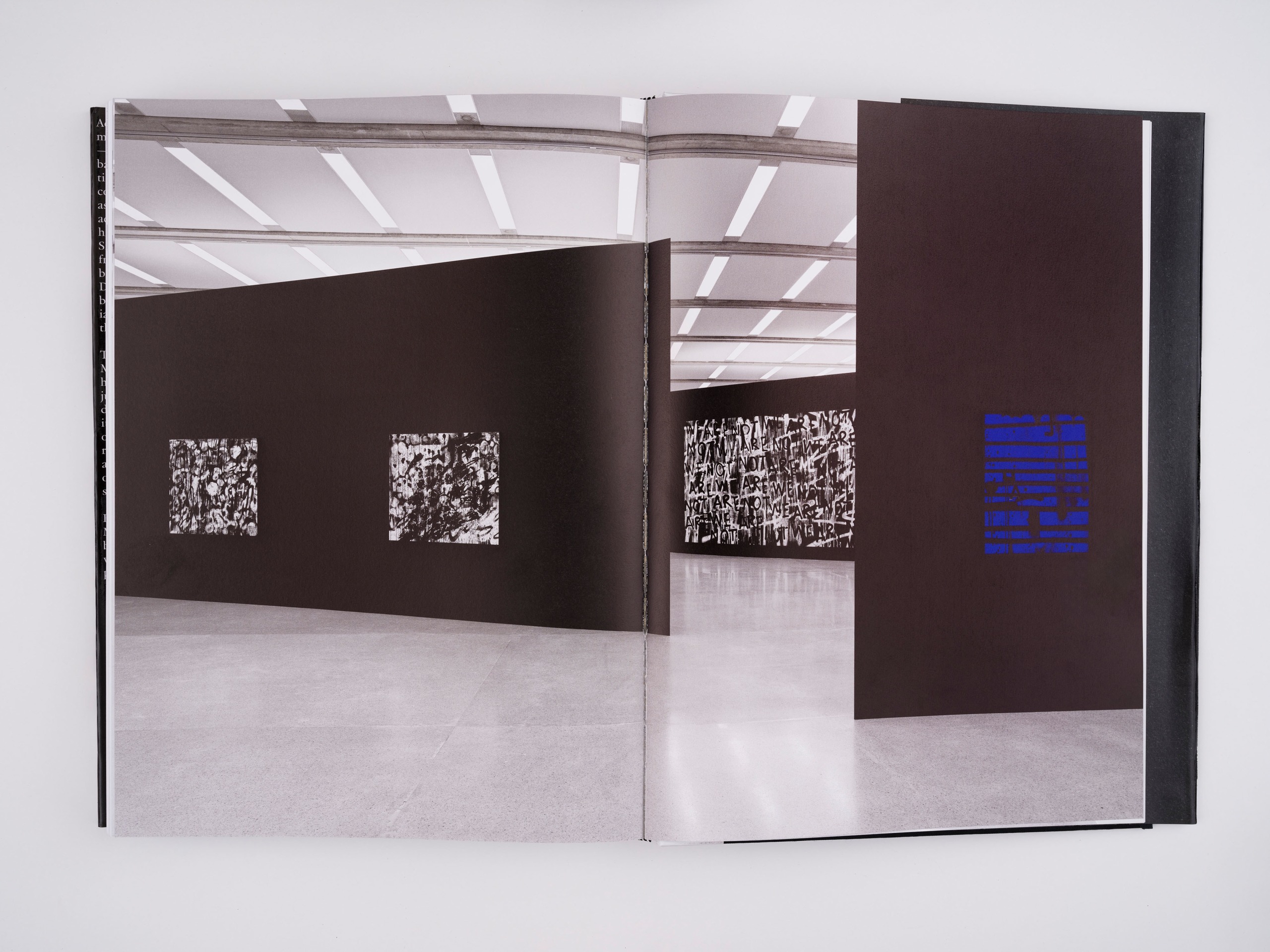 Adam Pendleton - Blackness, White, and Light - Publications - David ...