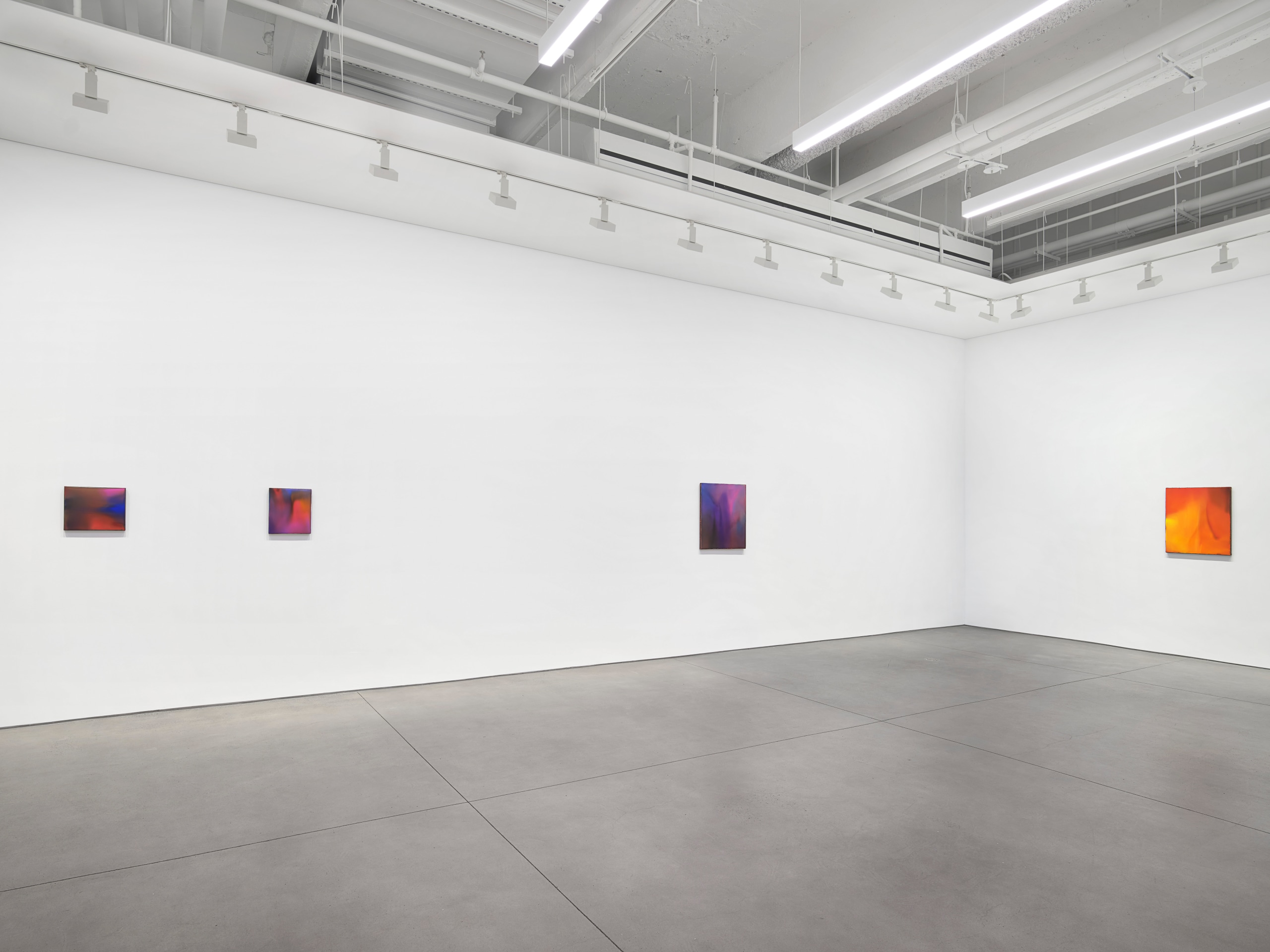 Markus Amm - How Much Paint Is in a Painting - Exhibitions - David ...