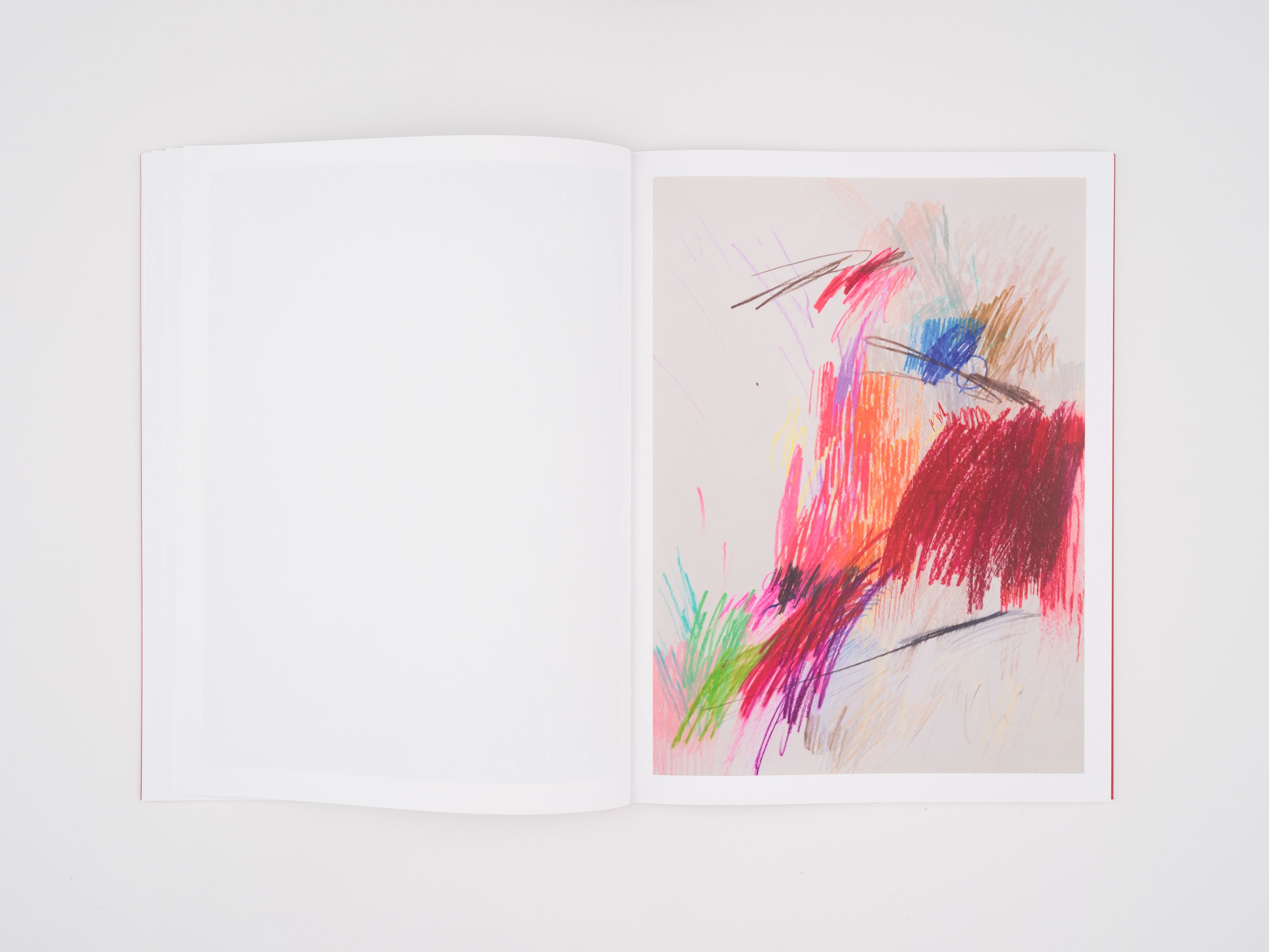 Sam McKinniss - Wild America - Publications - David Kordansky Gallery