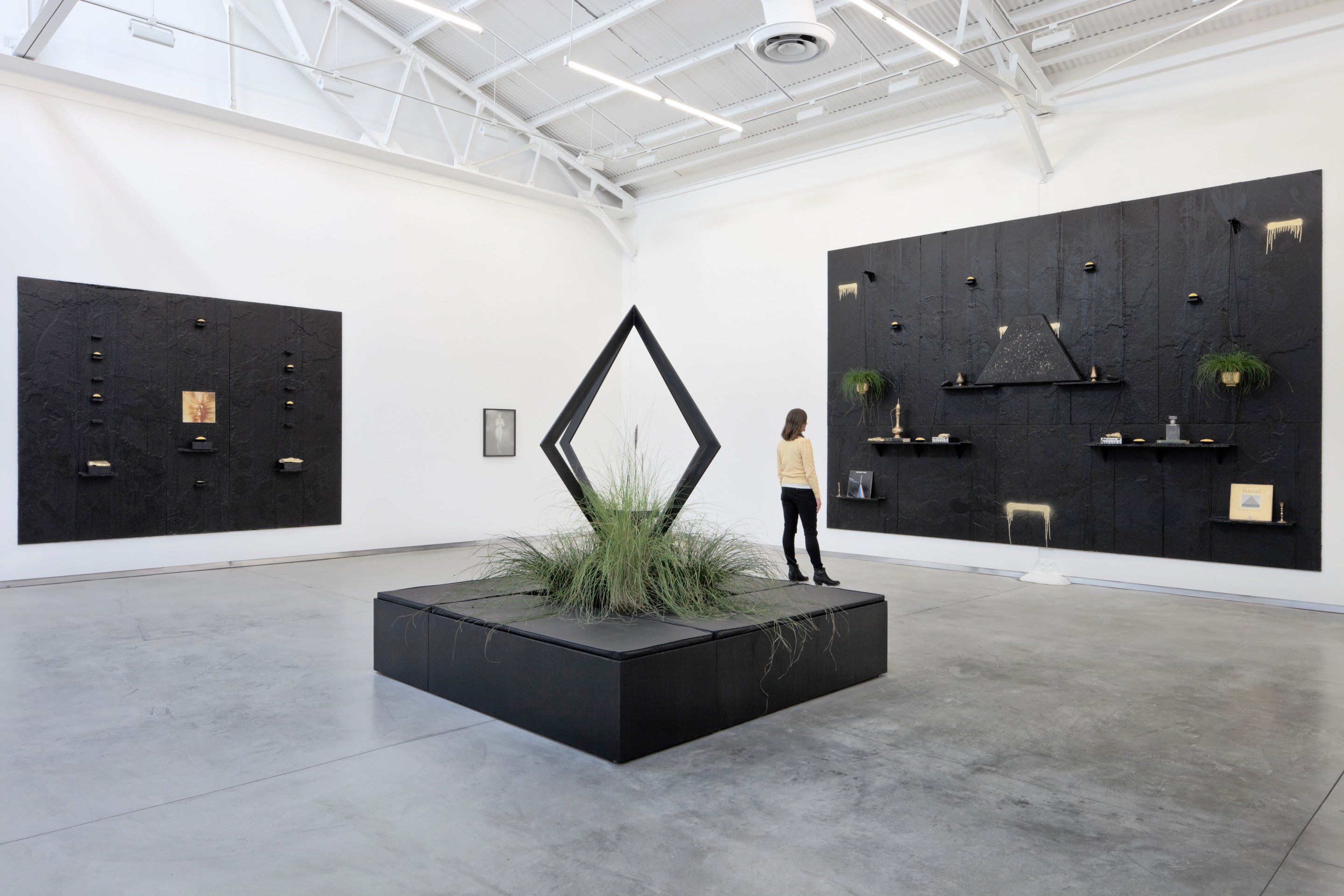 Rashid Johnson - Other Aspects - Exhibitions - David Kordansky Gallery