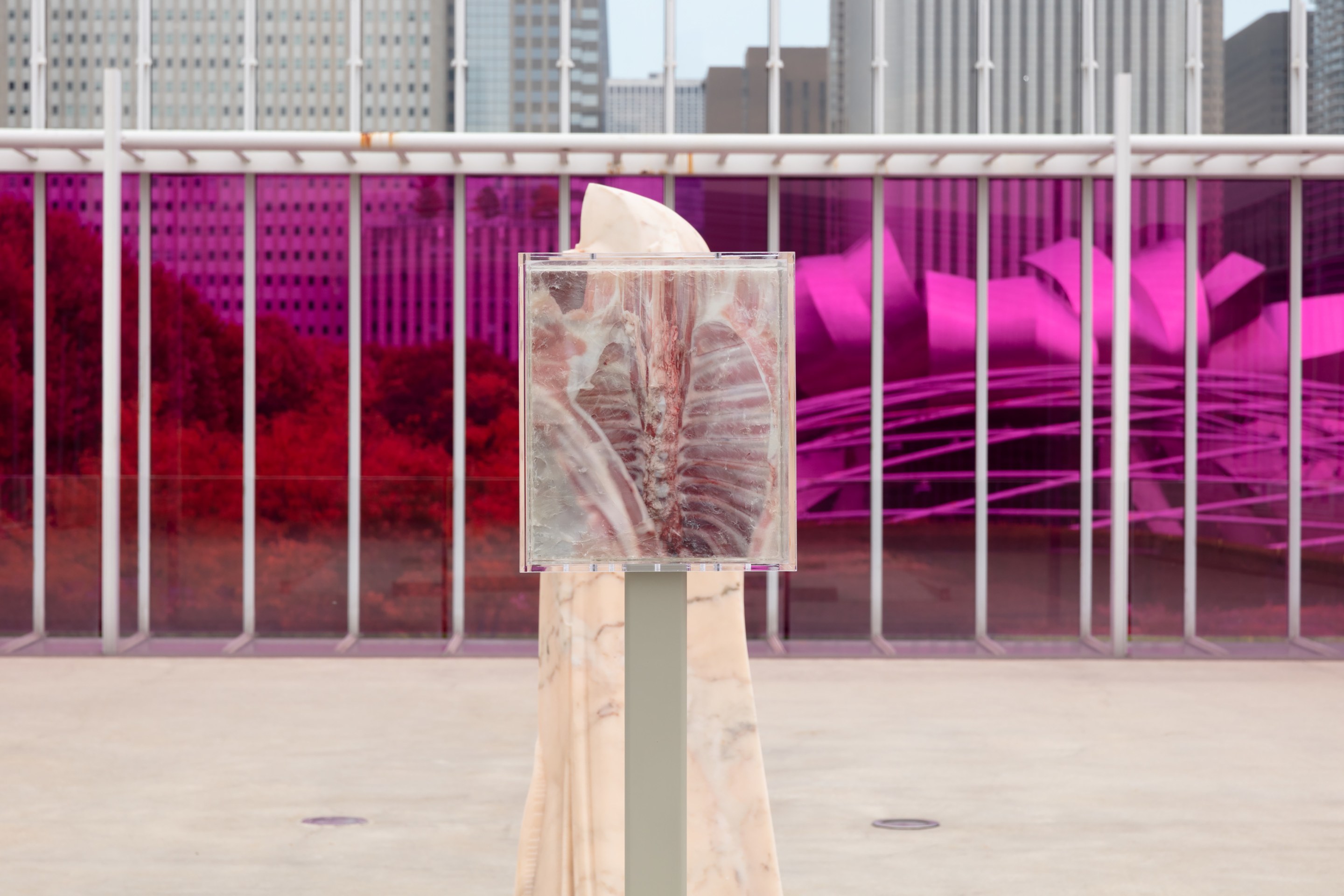 Shahryar Nashat - Raw Is the Red - Public Exhibitions - David Kordansky ...