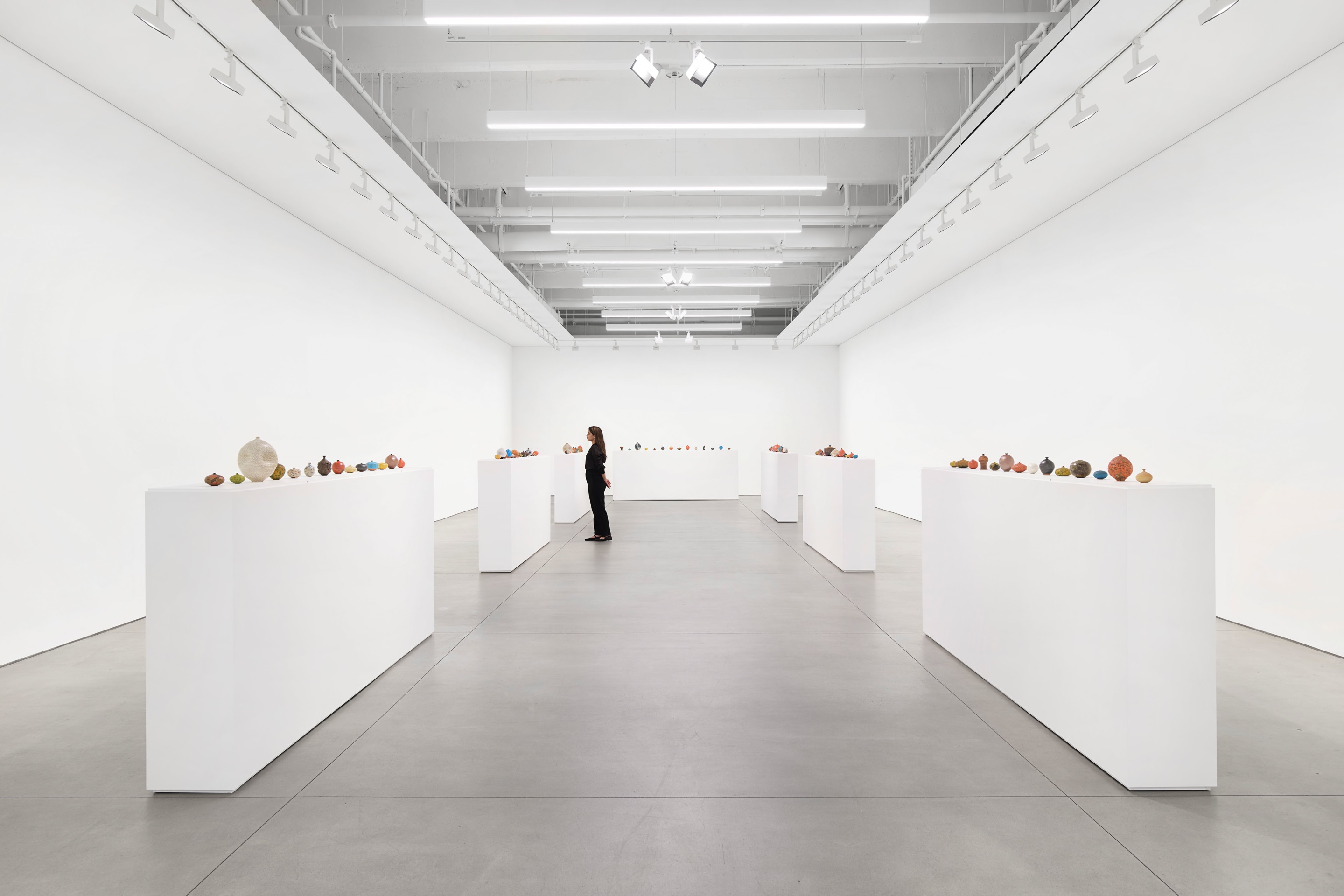 Doyle Lane - Doyle Lane: Weed Pots - Exhibitions - David Kordansky Gallery