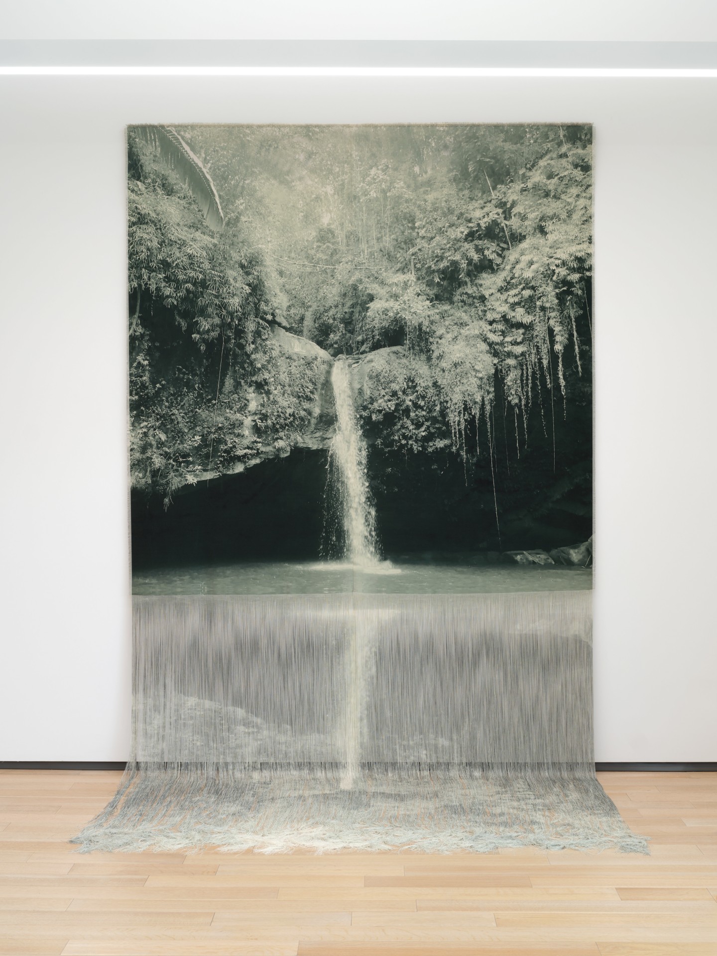 Ana González - VERDES - Exhibitions - Sean Kelly Gallery