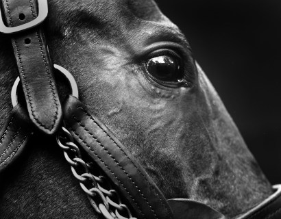 Neil Latham - Artists - Steven Kasher Gallery